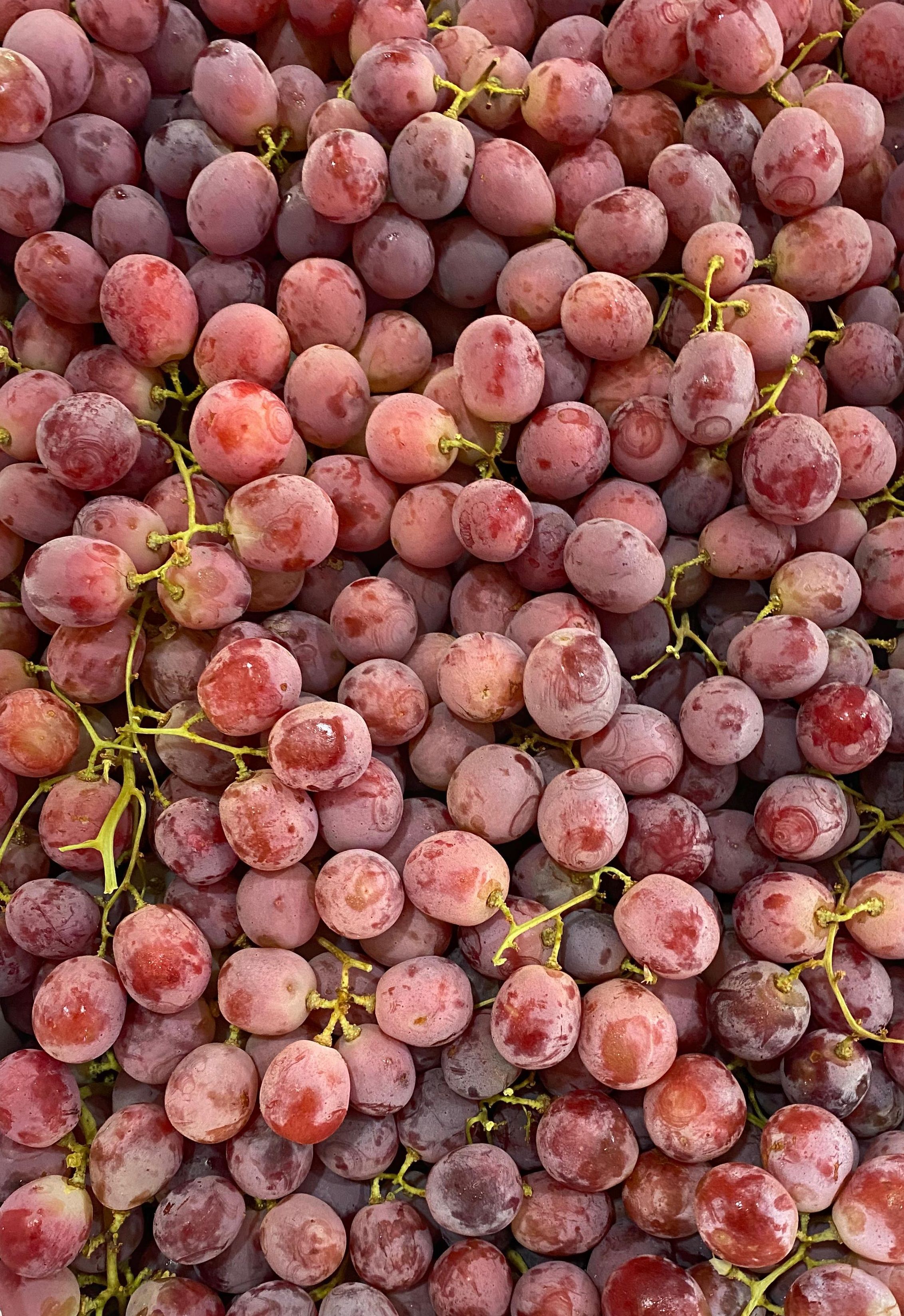 Red Grapes Photos, Download The BEST Free Red Grapes Stock Photos & HD ...
