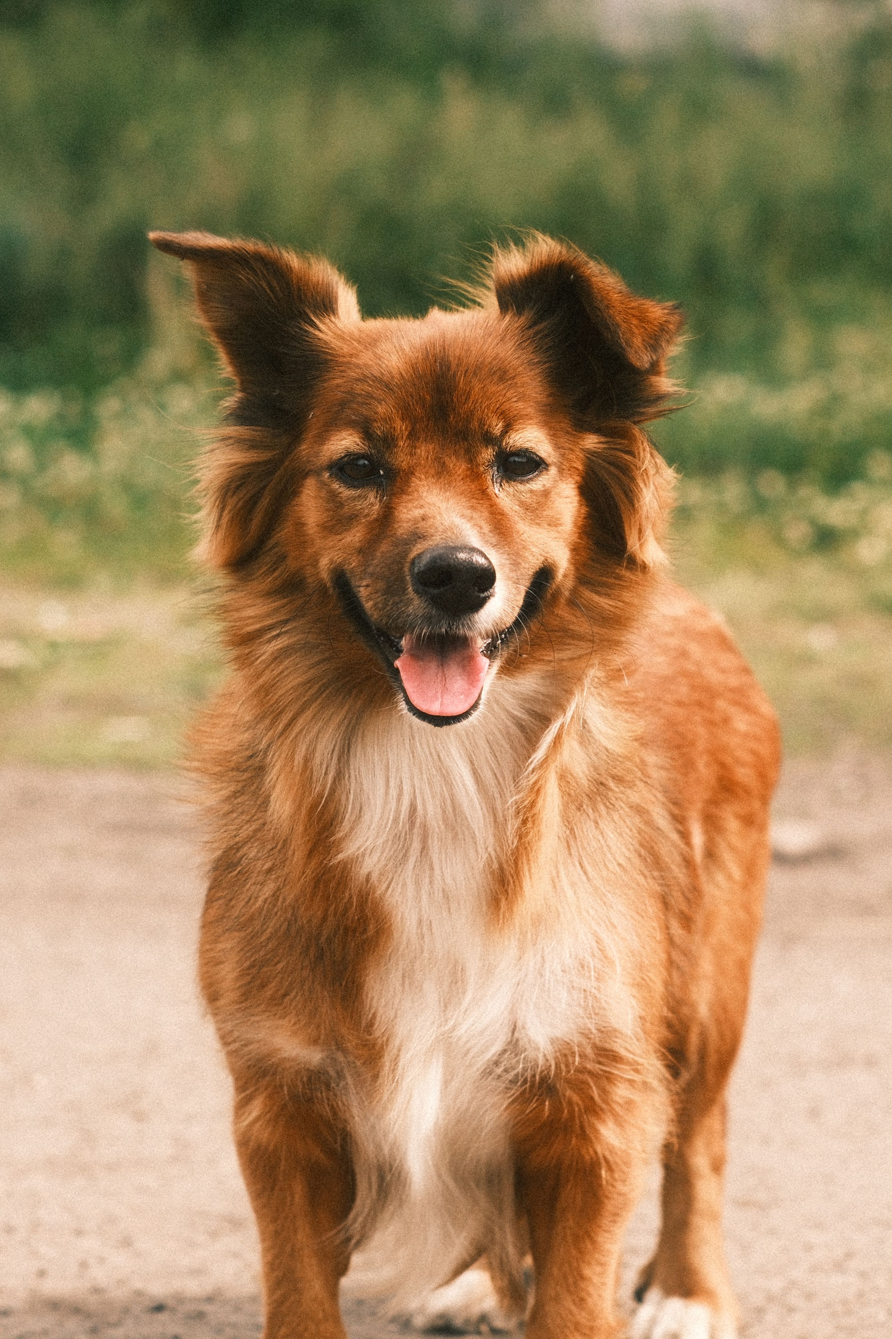 9,000+ Best Name Photos · 100% Free Download · Pexels Stock Photos