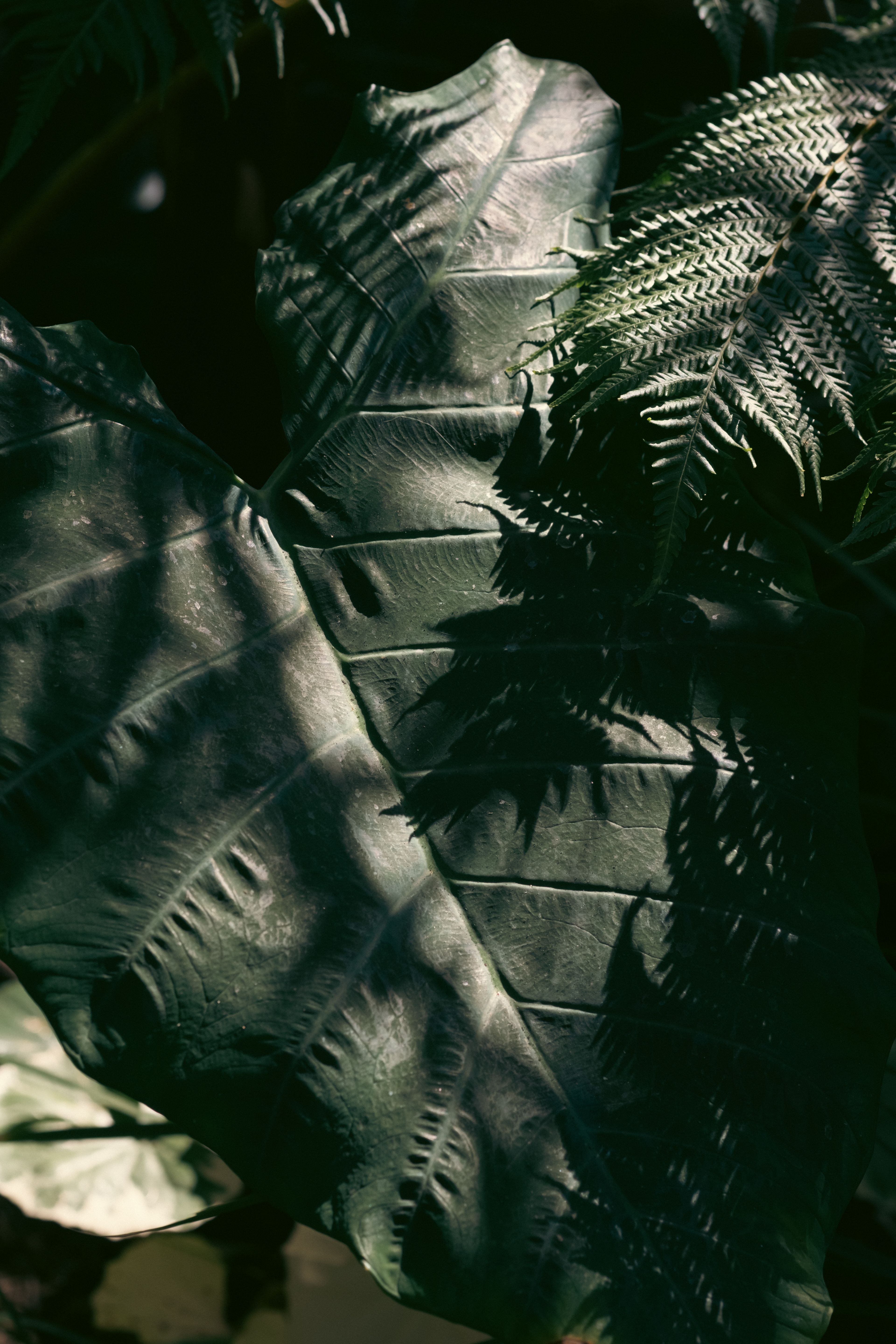 Brainrot Background Photos, Download The BEST Free Brainrot Background ...