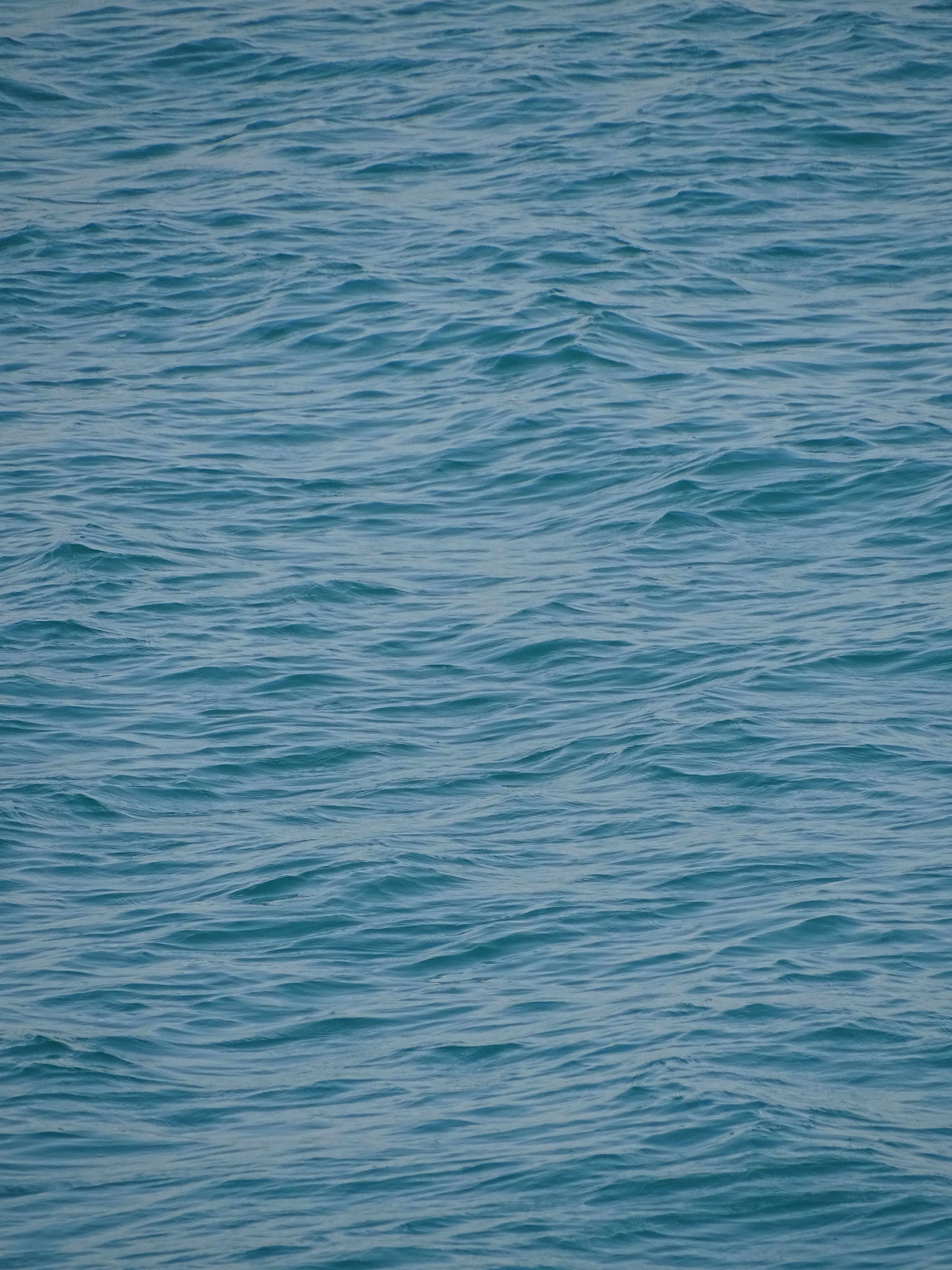 Calm Ocean Surface with Gentle Waves · Free Stock Photo