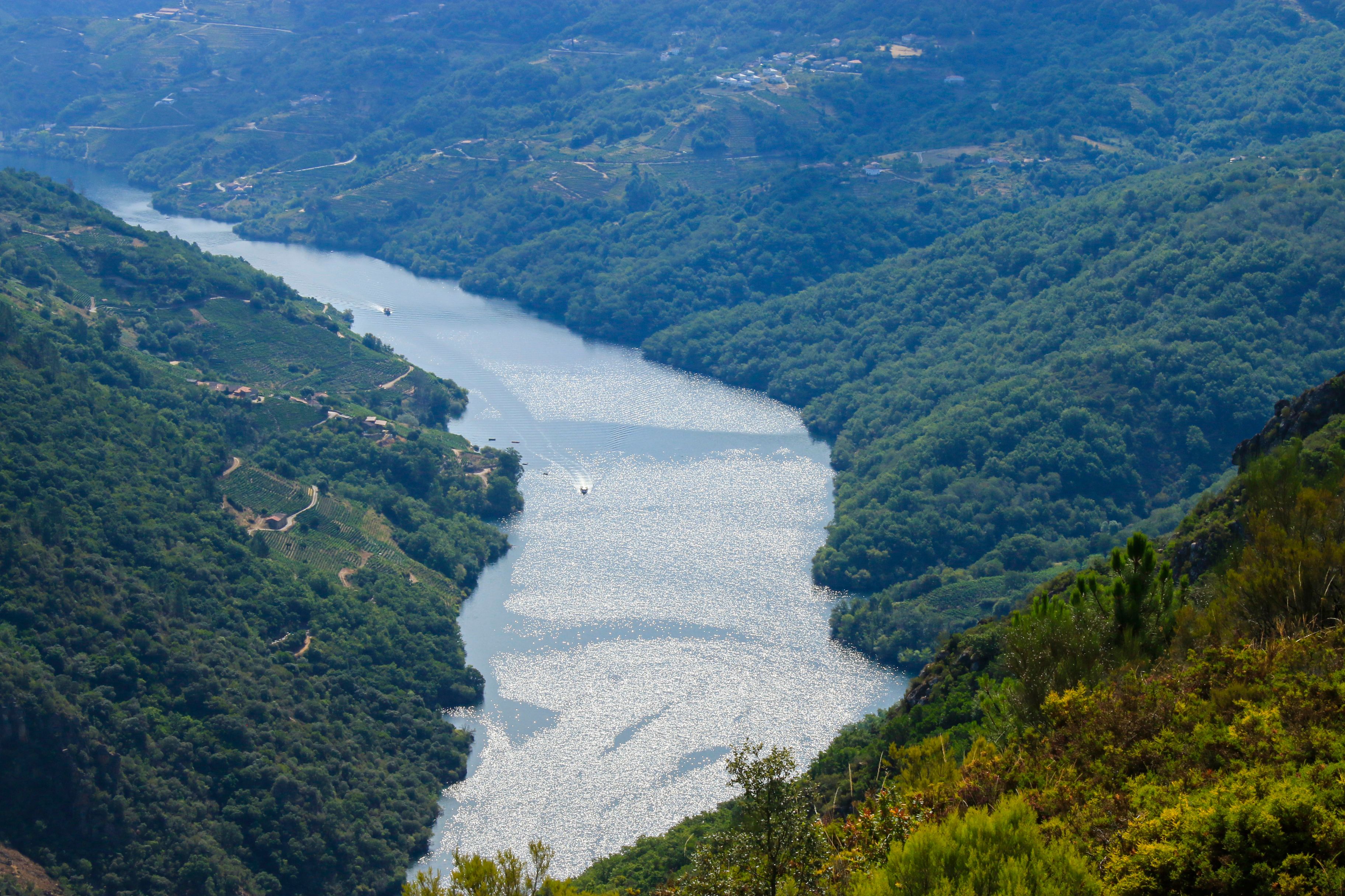 Scenic View of Sil River Gorge in Galicia · Free Stock Photo