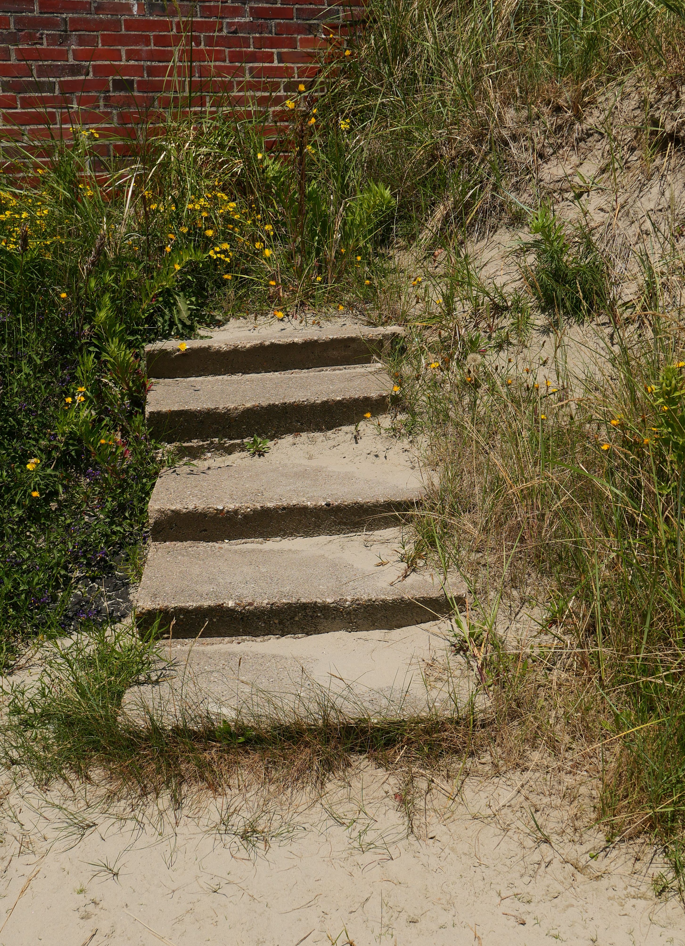 Weathered Steps in Sandy Beach Landscape · Free Stock Photo