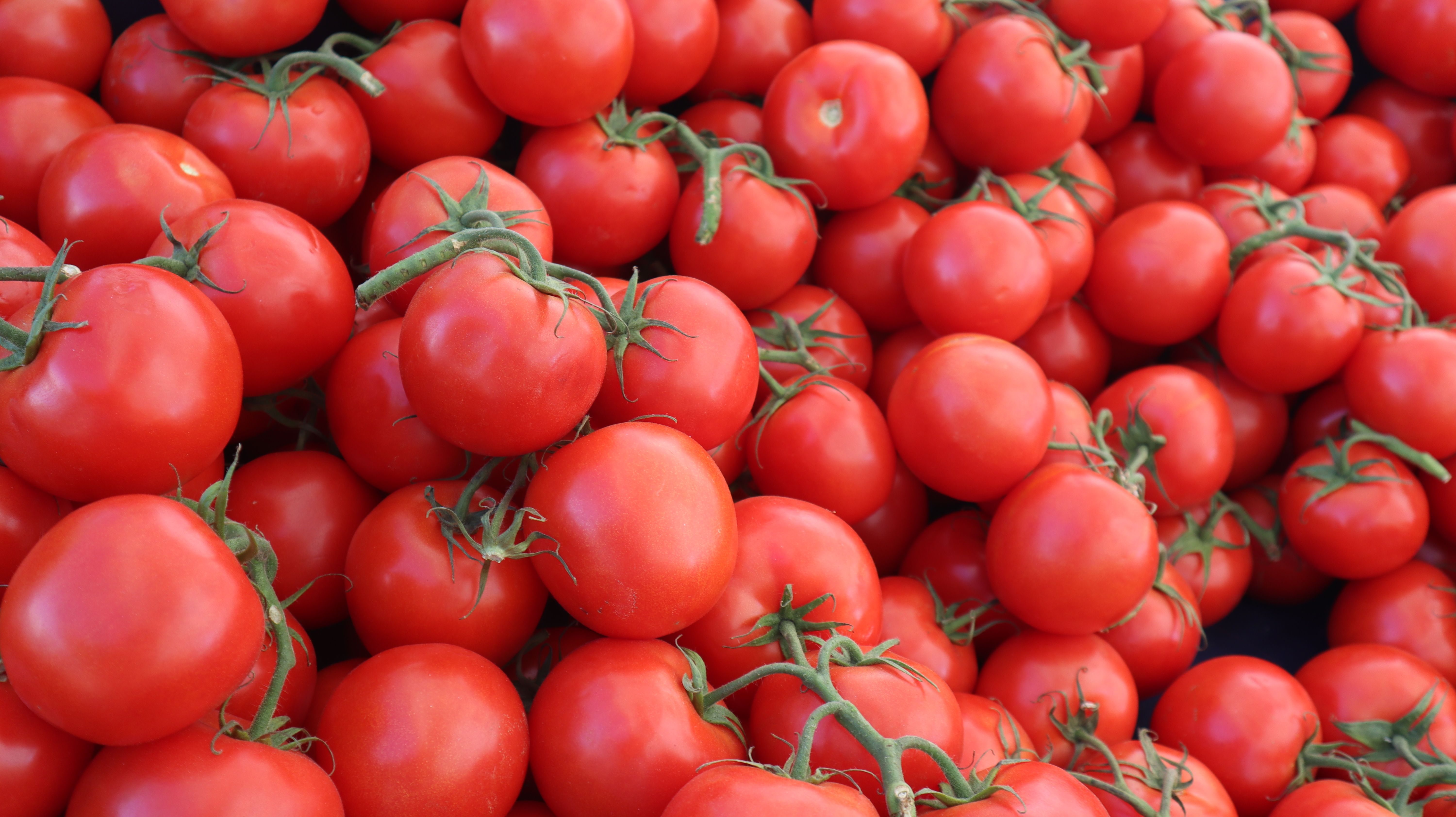 Vegetables From Photos, Download The BEST Free Vegetables From Stock ...