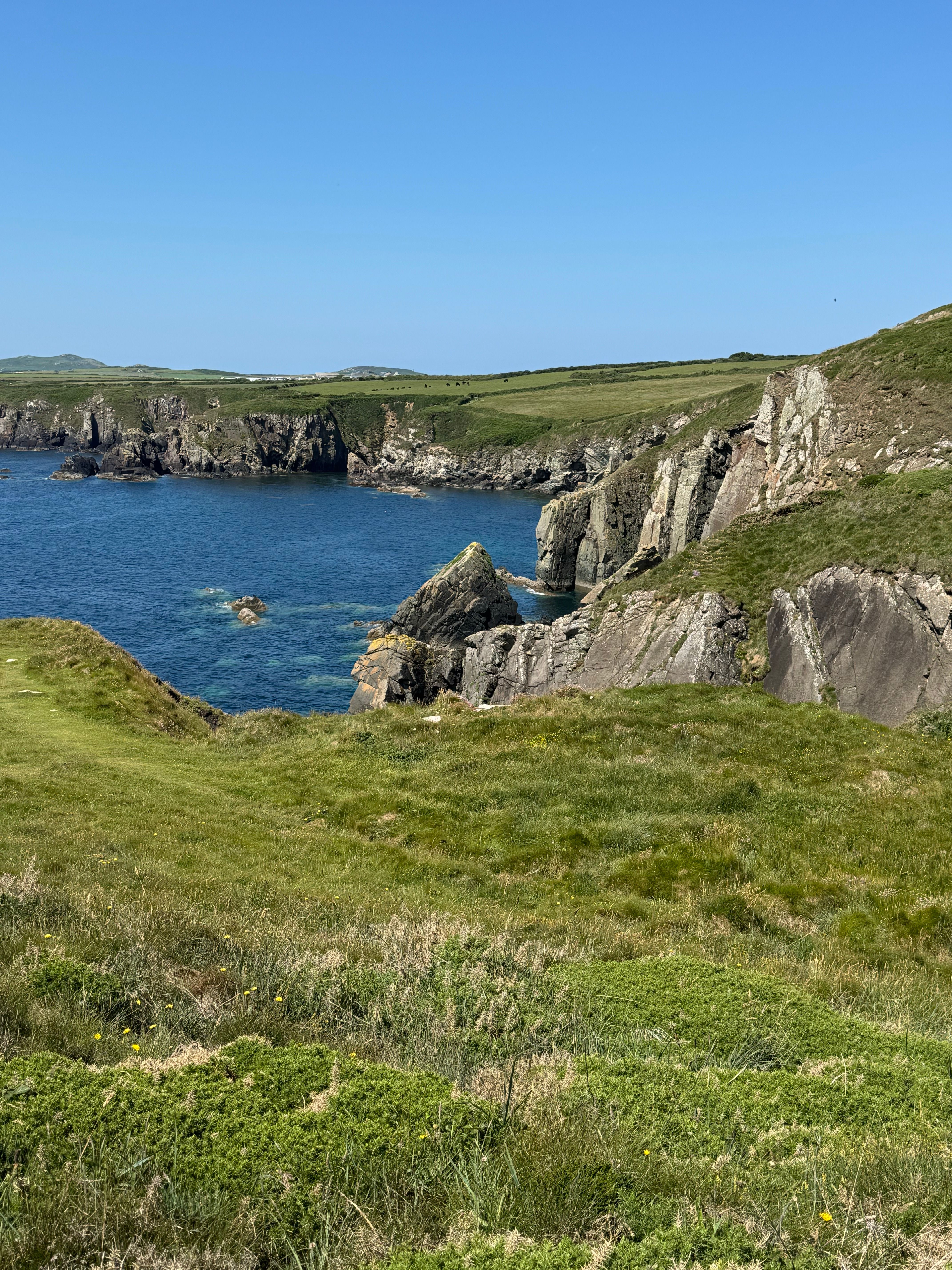 Scenic Coastal Landscape with Cliffs and Ocean · Free Stock Photo