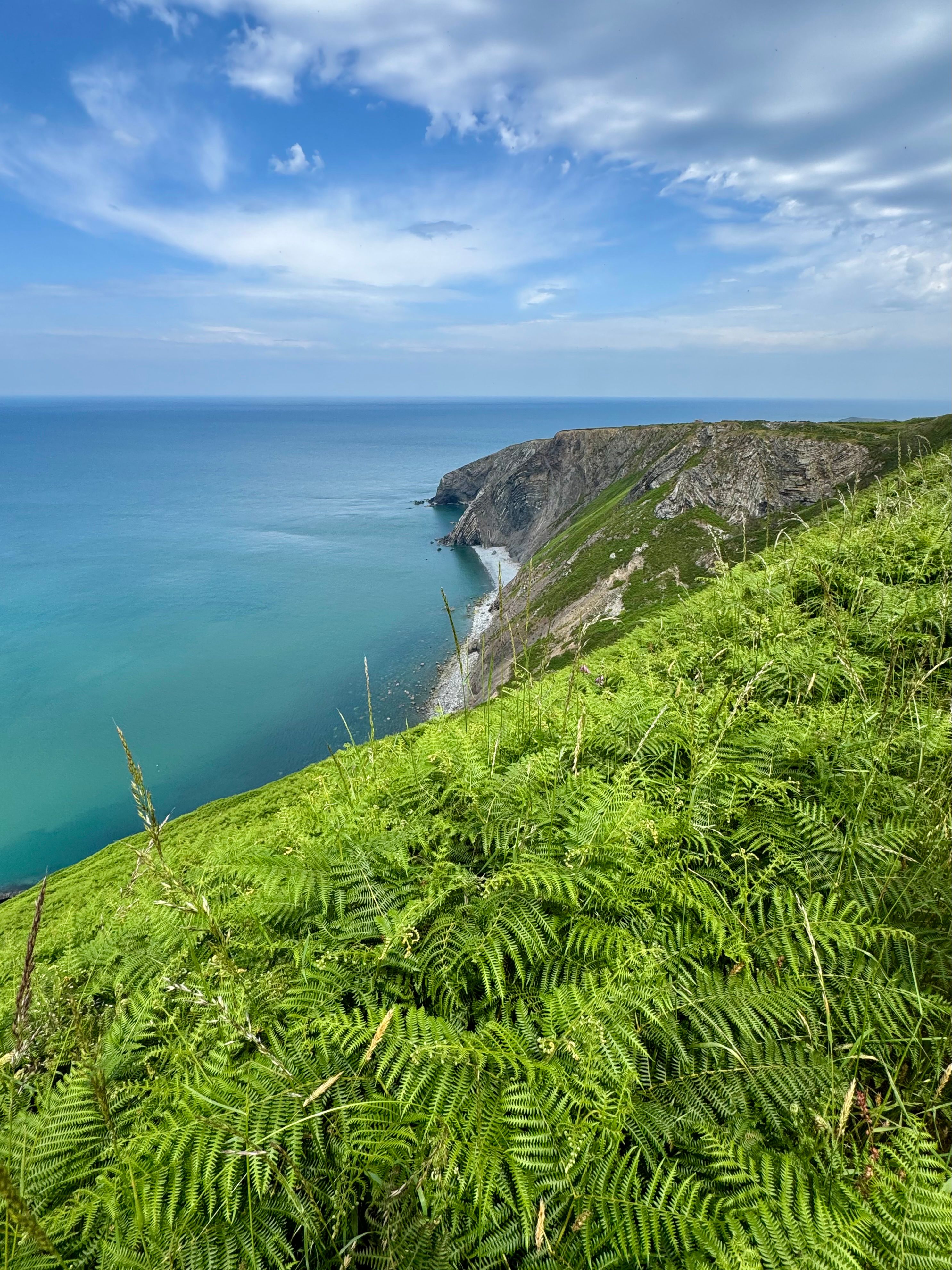 Stunning Coastal Cliff View with Blue Ocean · Free Stock Photo