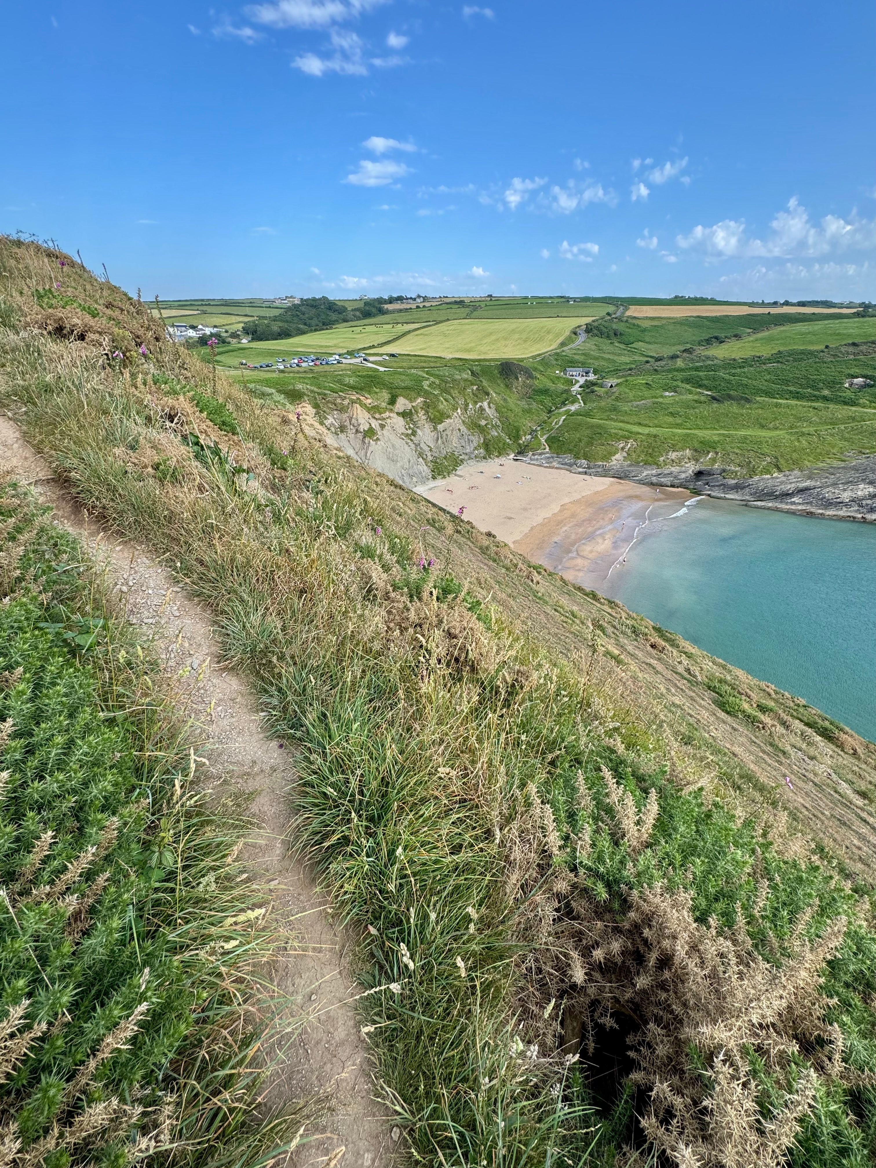 Scenic Coastal Path with Ocean View · Free Stock Photo