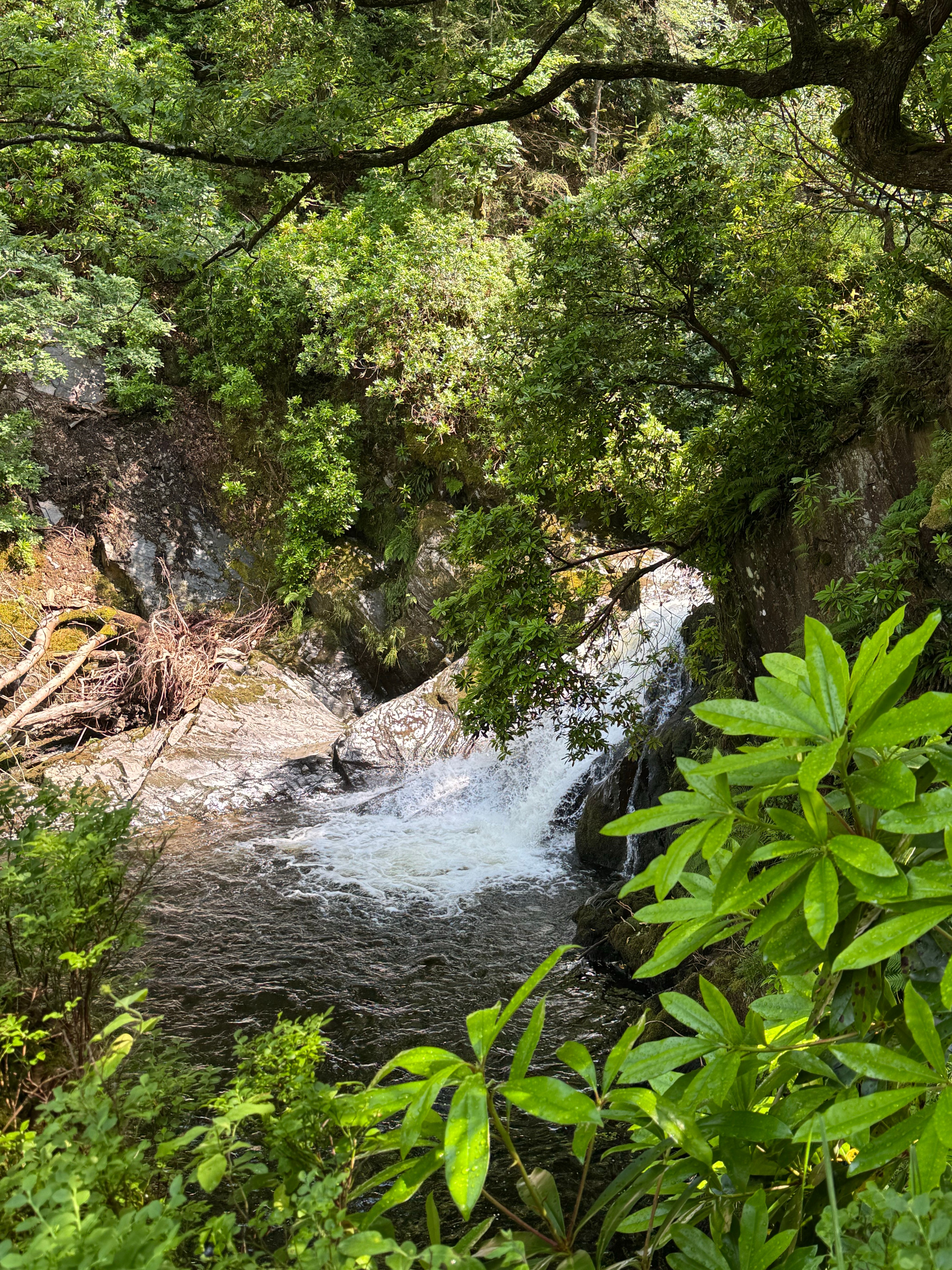 Scenic Waterfall in Lush Forest Setting · Free Stock Photo