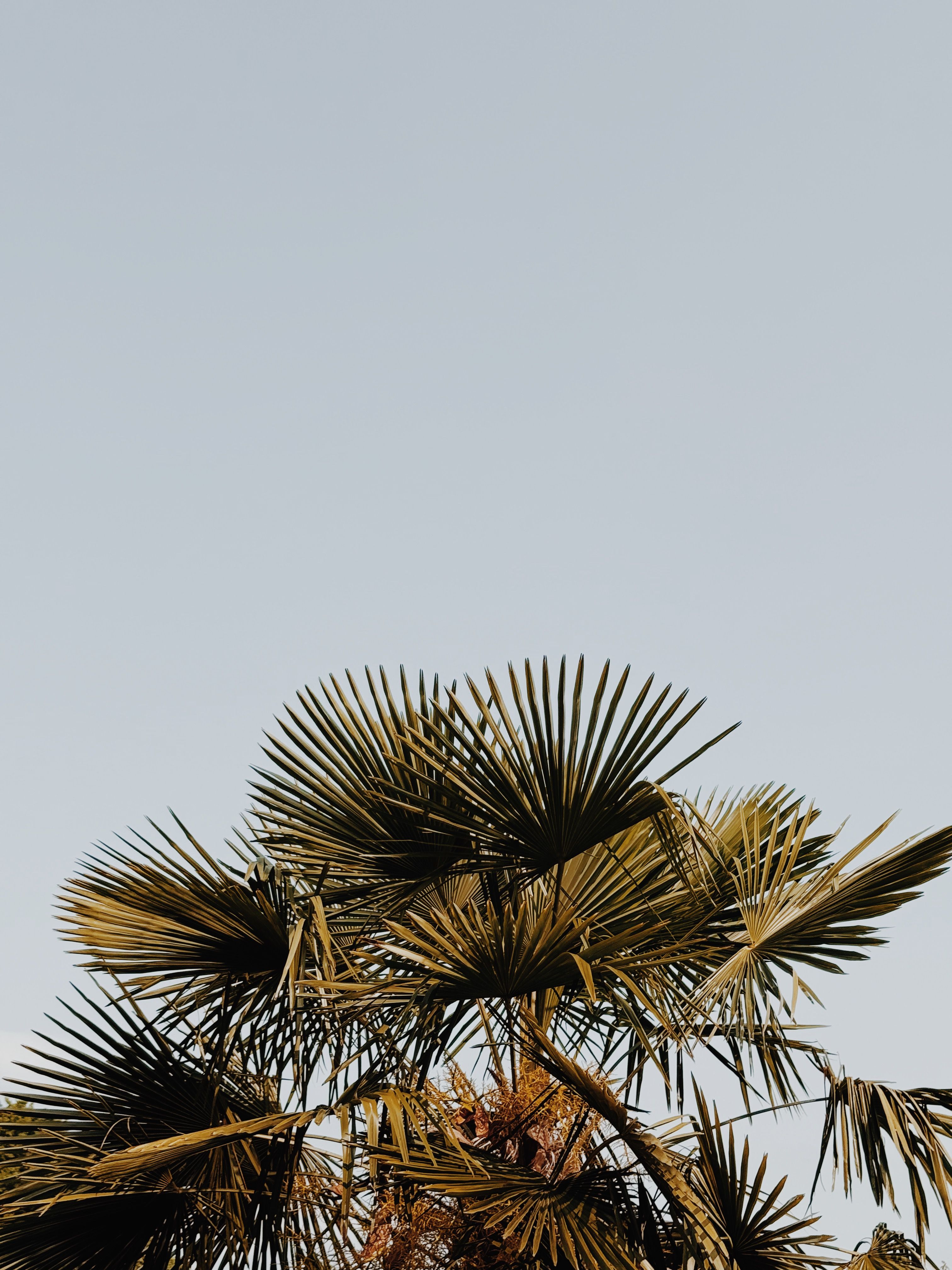 Simple Landscape Photos, Download The BEST Free Simple Landscape Stock ...
