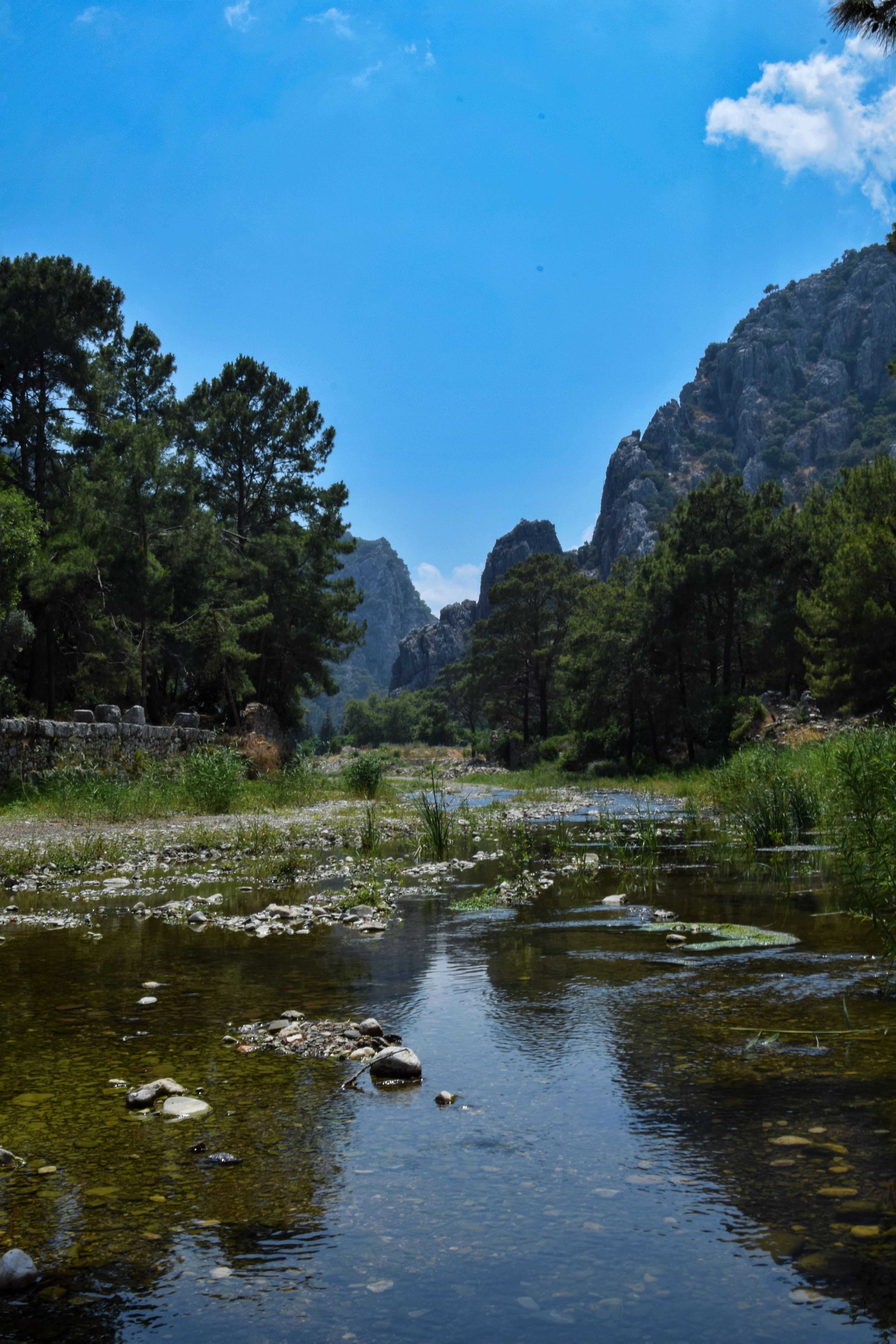 Scenic Mountain Stream with Clear Blue Sky · Free Stock Photo