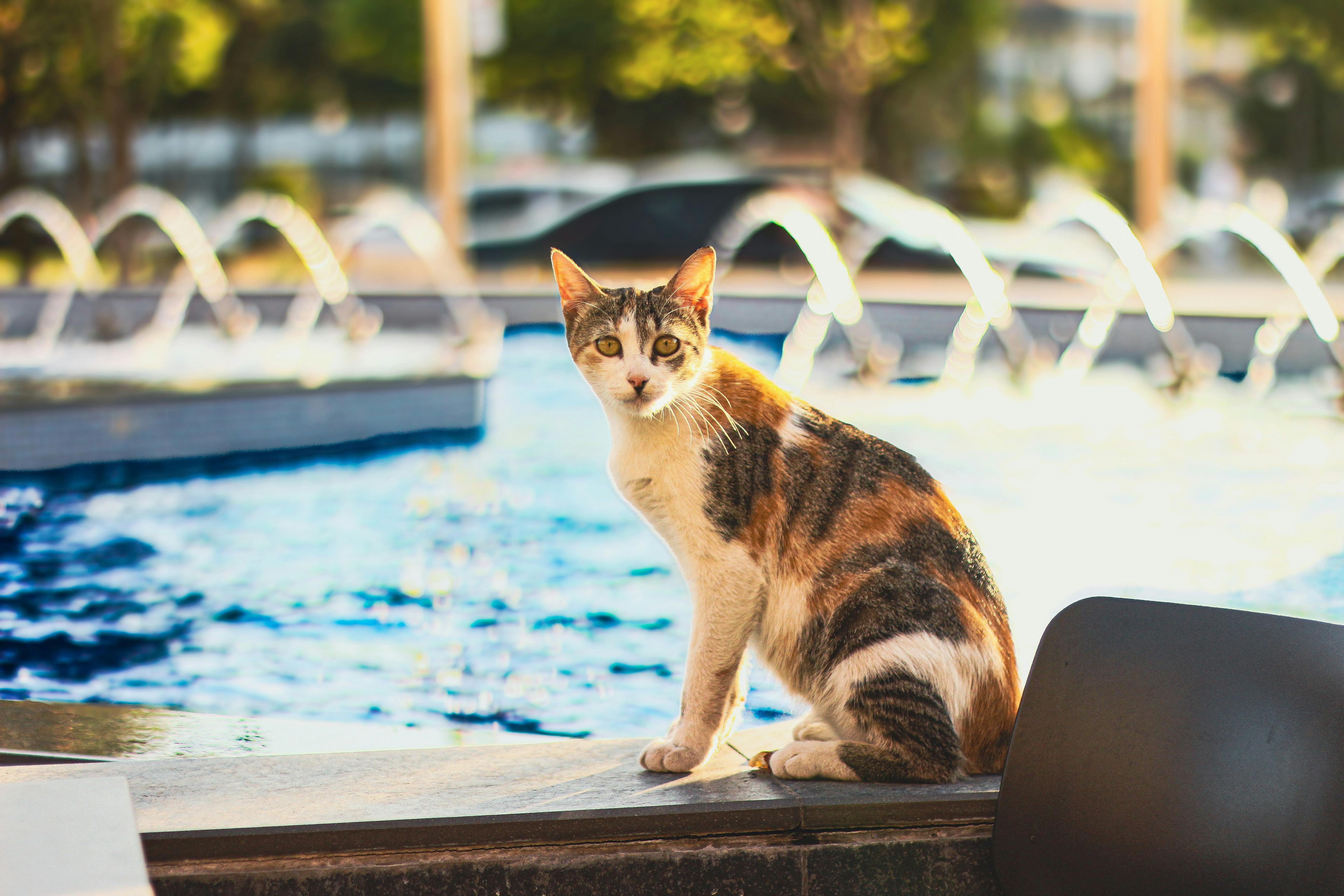 Really+Sus+Anime+Girls+No+Blur Photos, Download The BEST Free Really ...