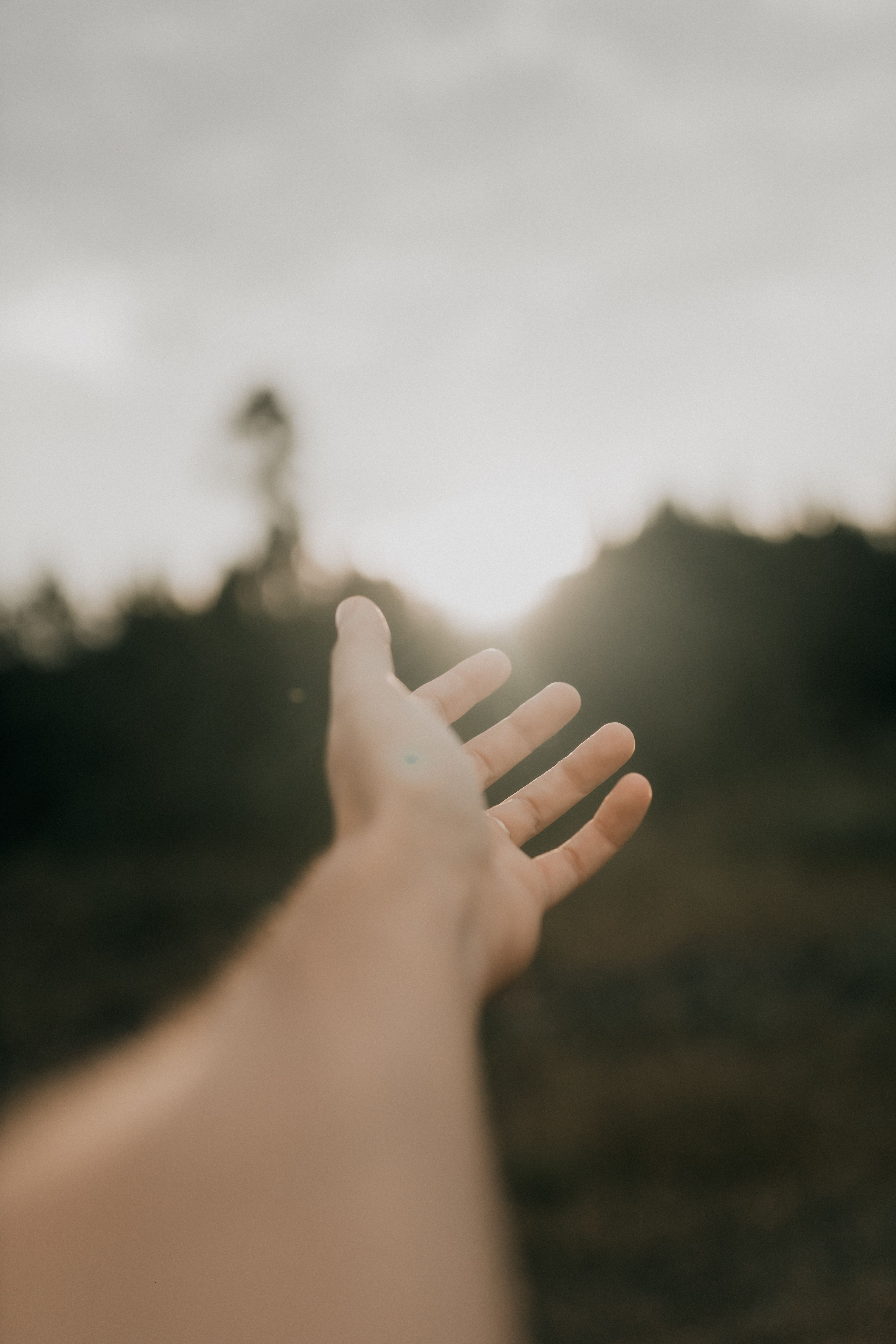Selective Focus Photography Of Hand · Free Stock Photo