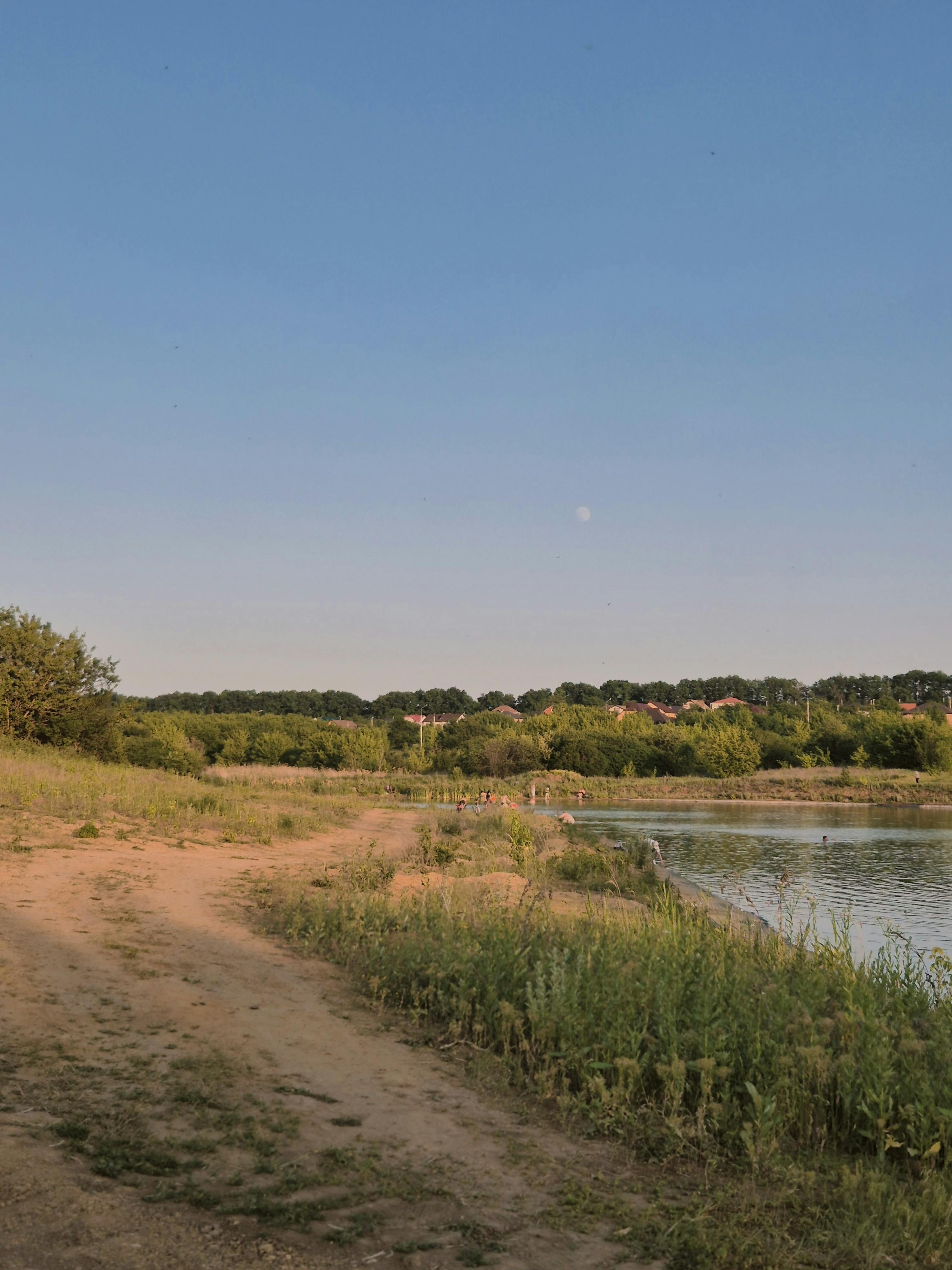 Serene Lakeside Path under Clear Sky · Free Stock Photo