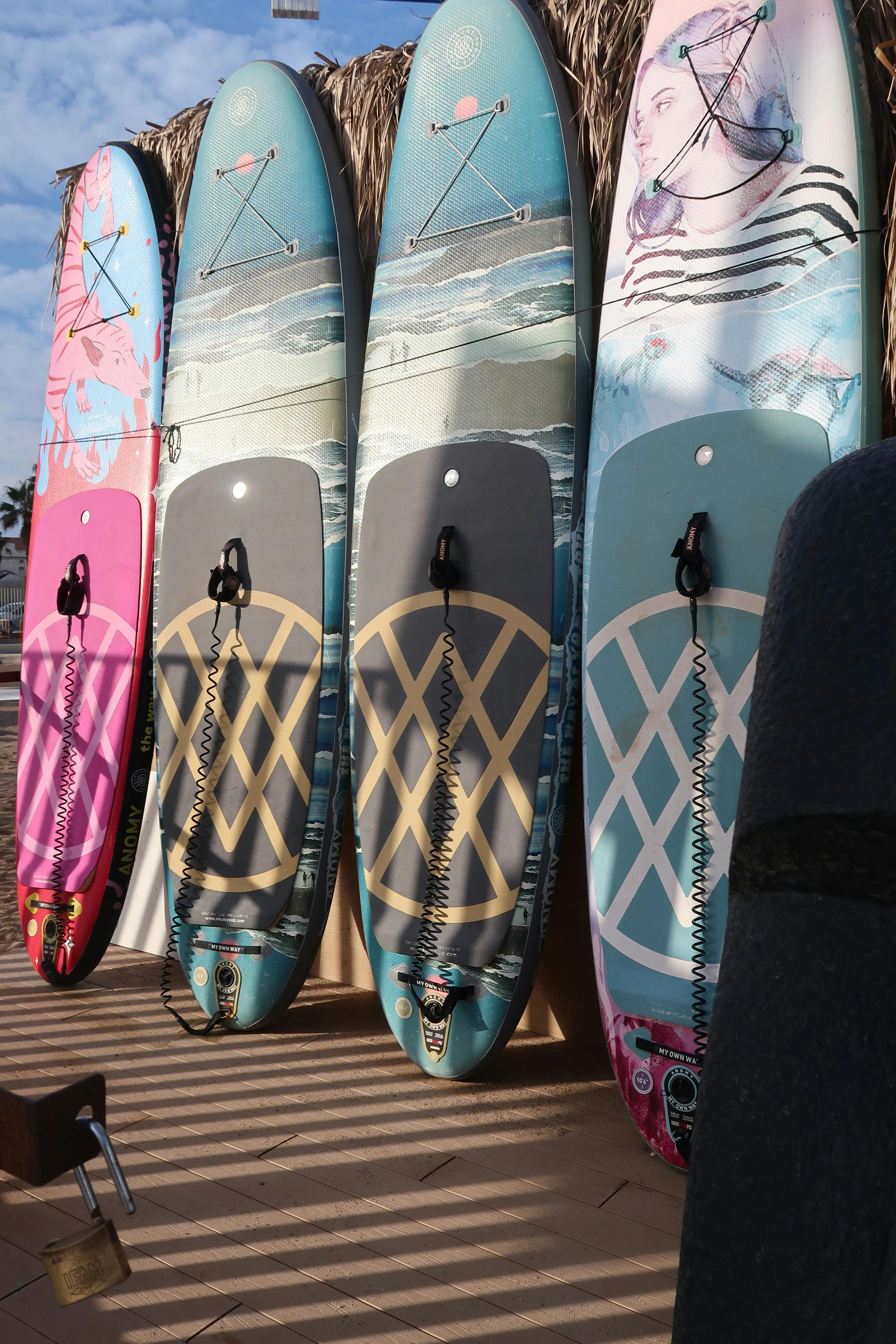 Paddleboard Photos, Download The BEST Free Paddleboard Stock Photos ...