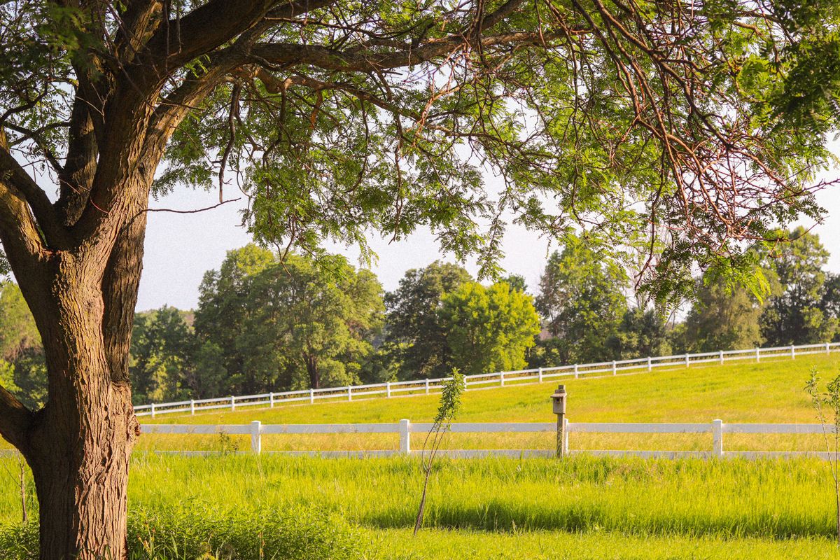 Country Living Photos, Download The BEST Free Country Living Stock ...
