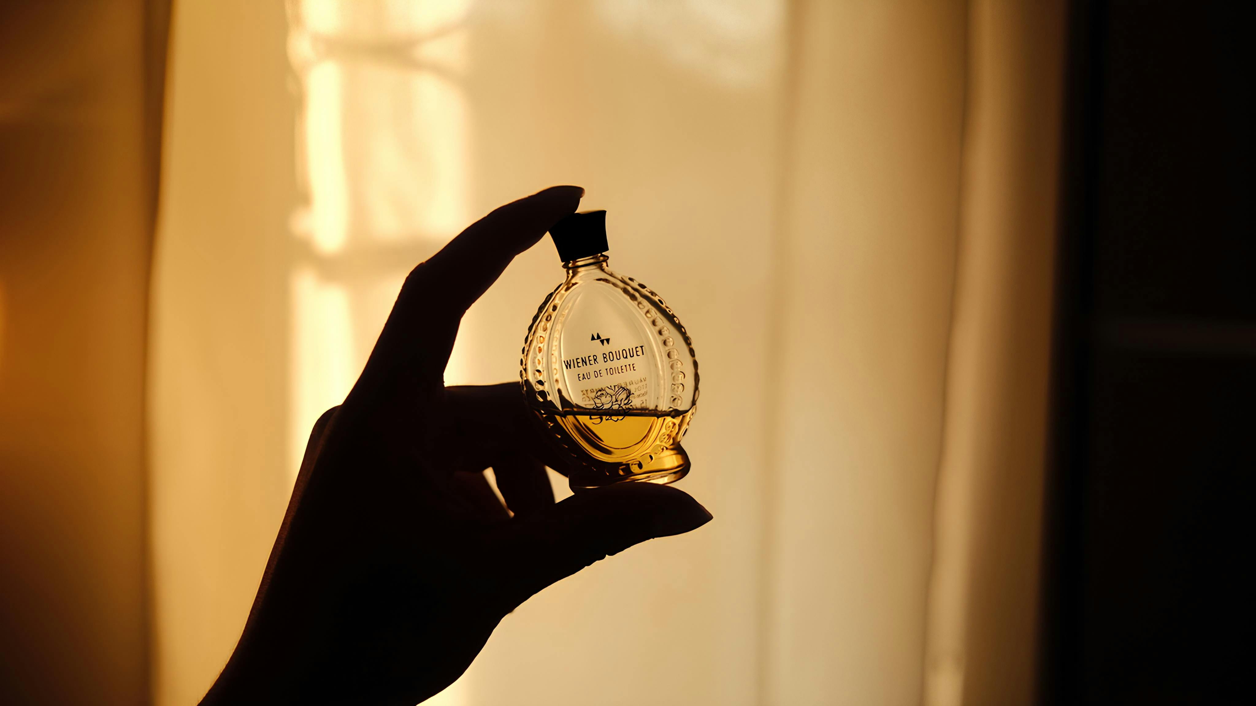 Elegante Botella De Eau De Toilette Silueta Retroiluminada · Foto de ...