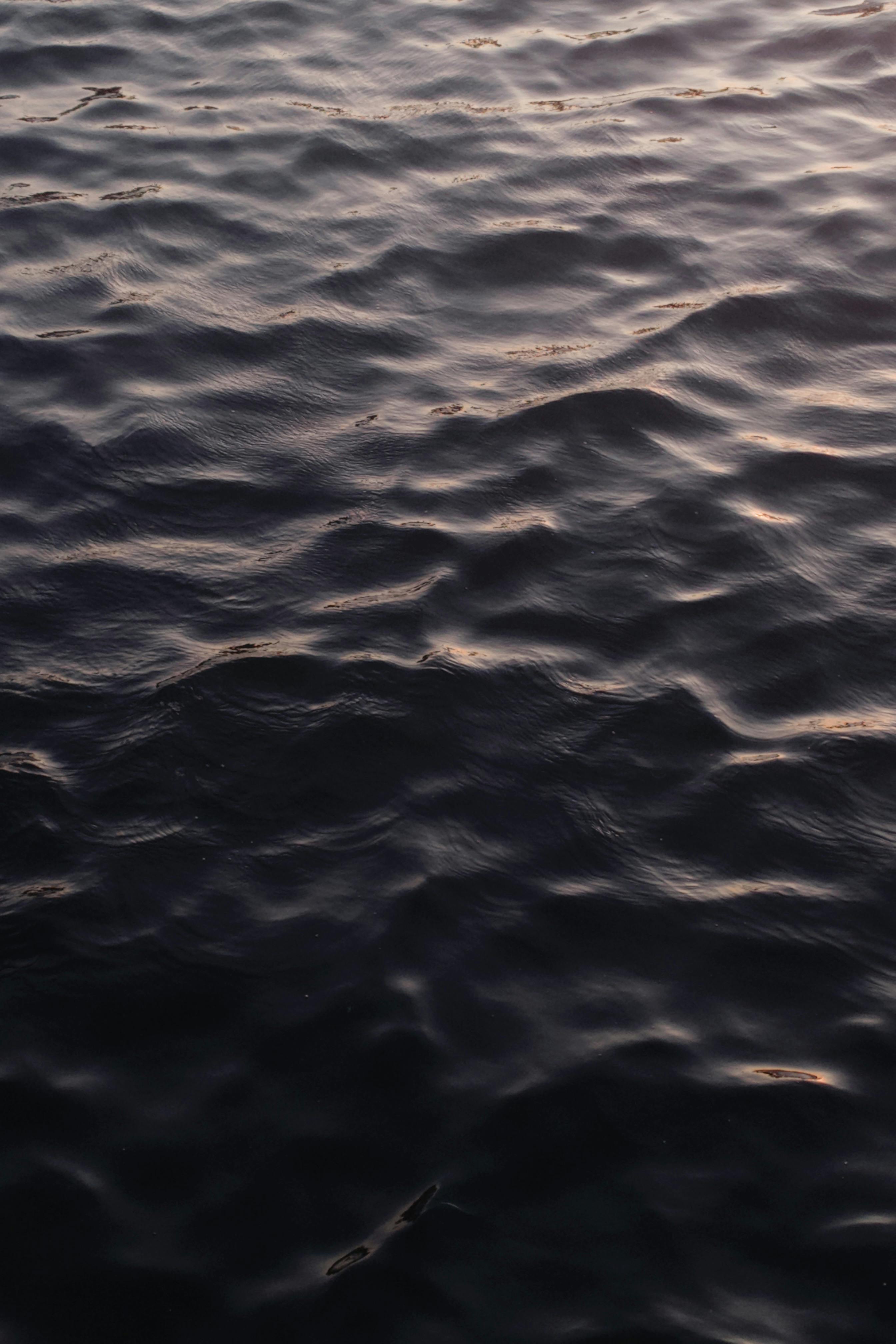 Foto de stock gratuita sobre 4k fotos, agua, agua oscura, agua ...