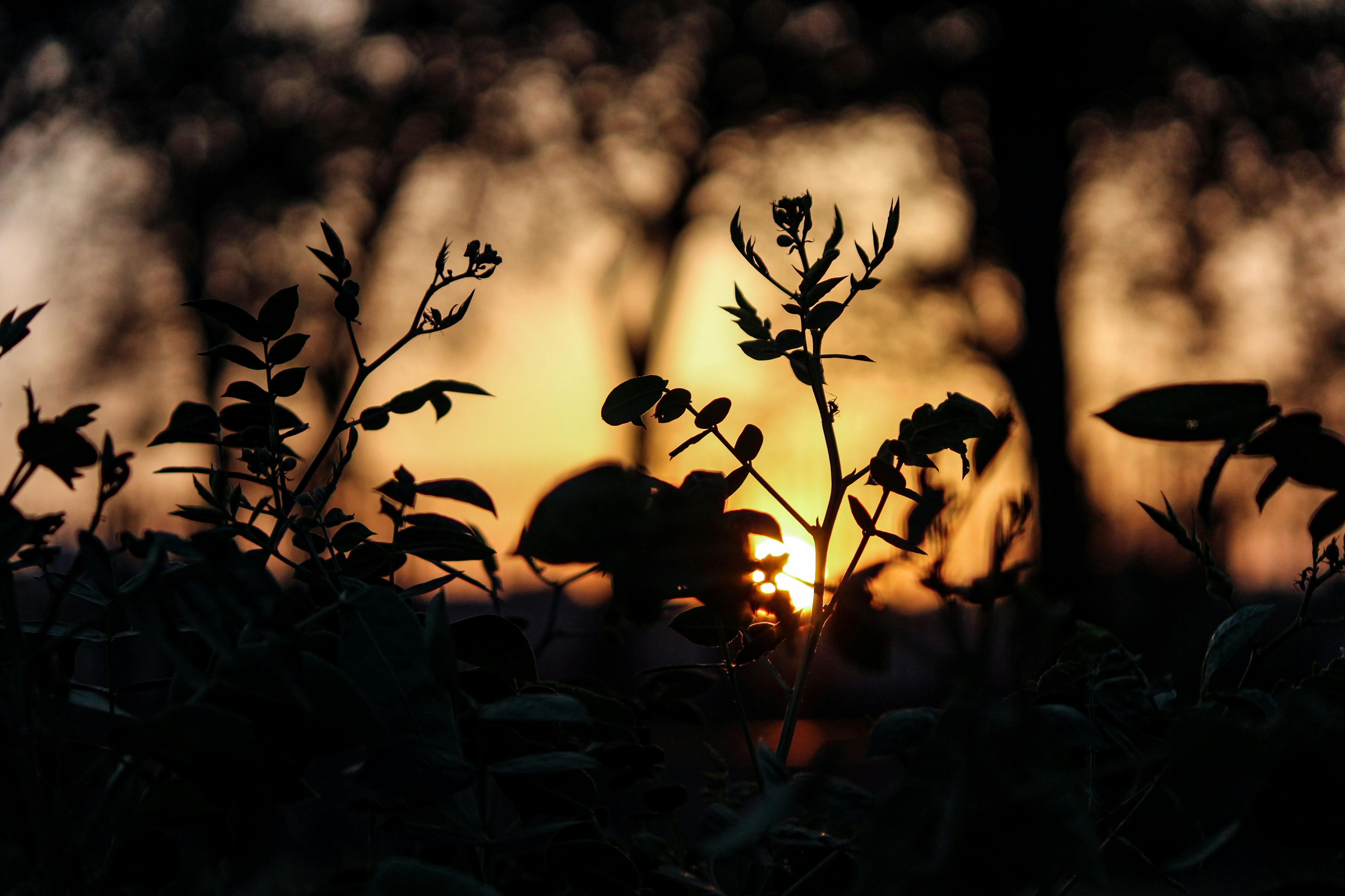 Realistic Frames - Fotoğrafçılık