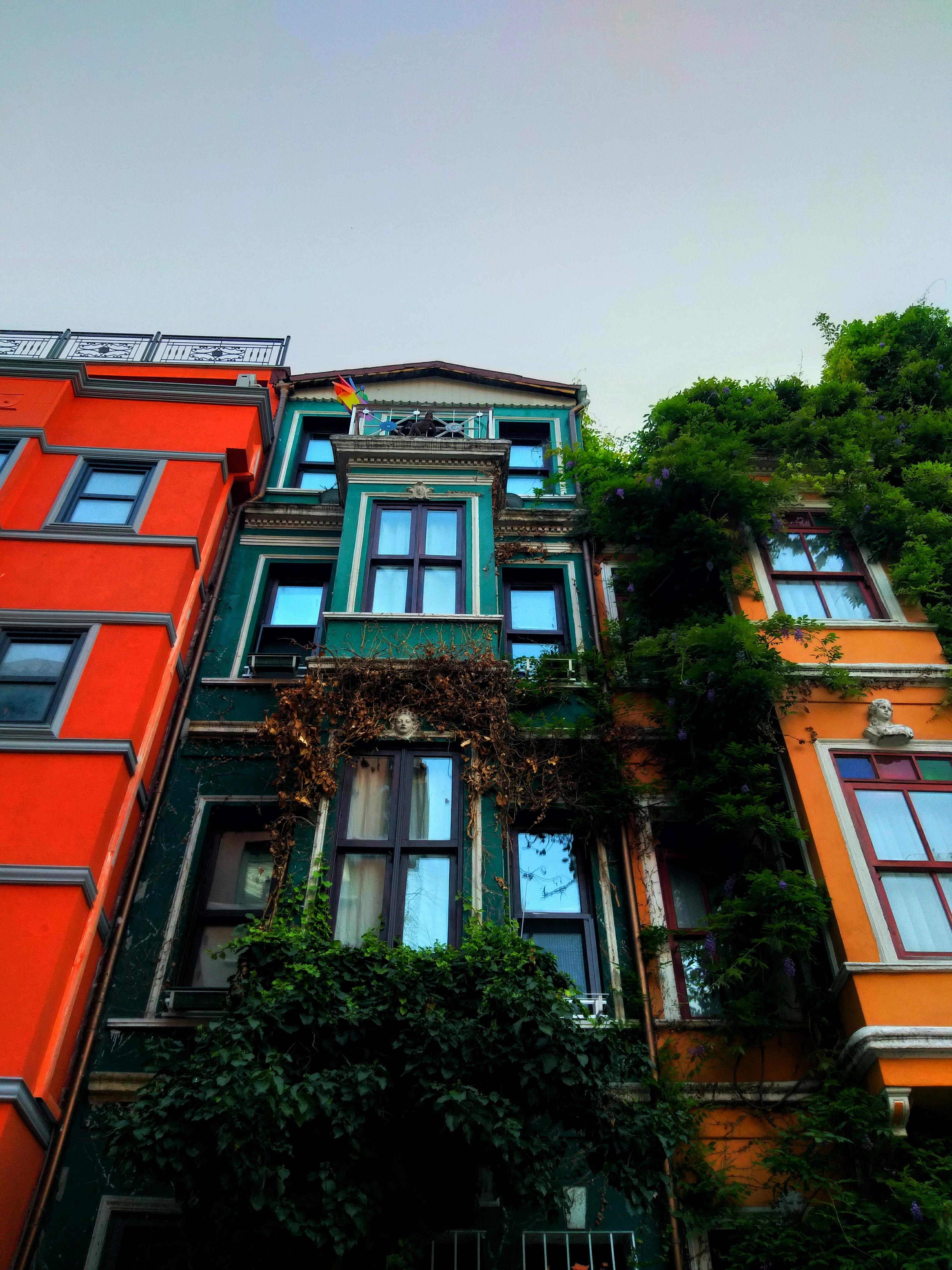 Colorful historic buildings with ivy in İstanbul · Free Stock Photo