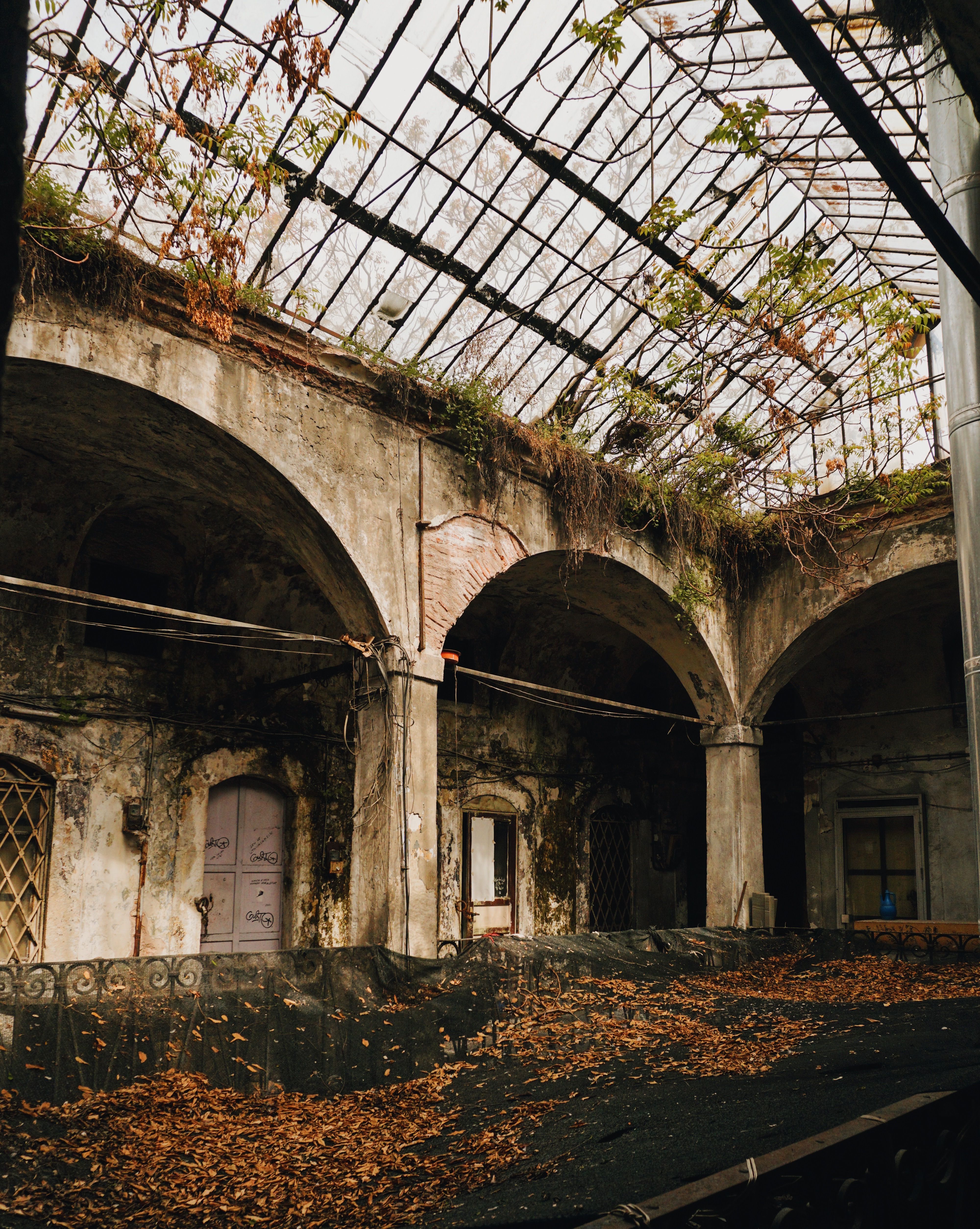 Abandoned Courtyard with Overgrown Roof · Free Stock Photo