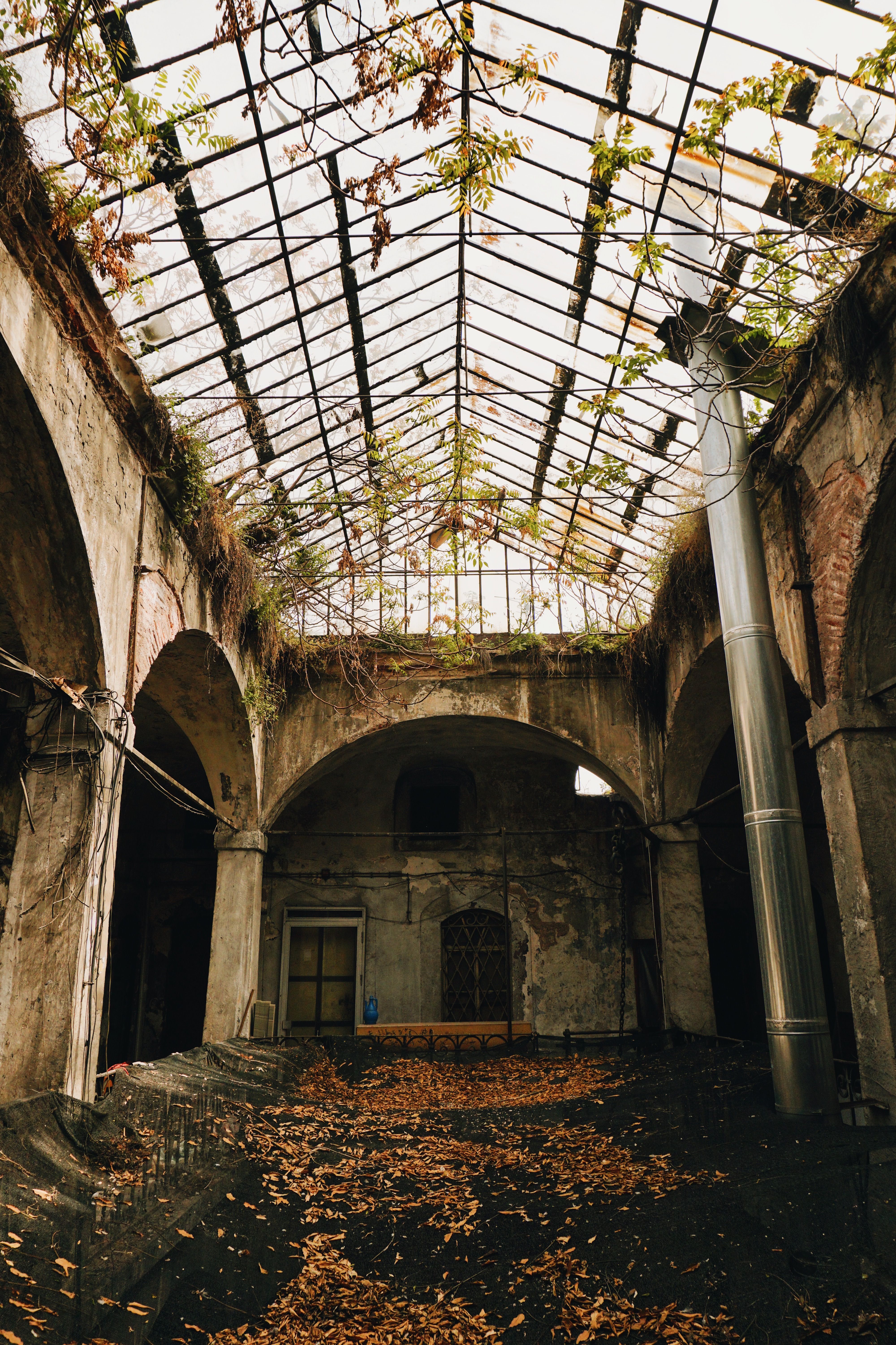 Abandoned Architectural Atrium with Fallen Leaves · Free Stock Photo