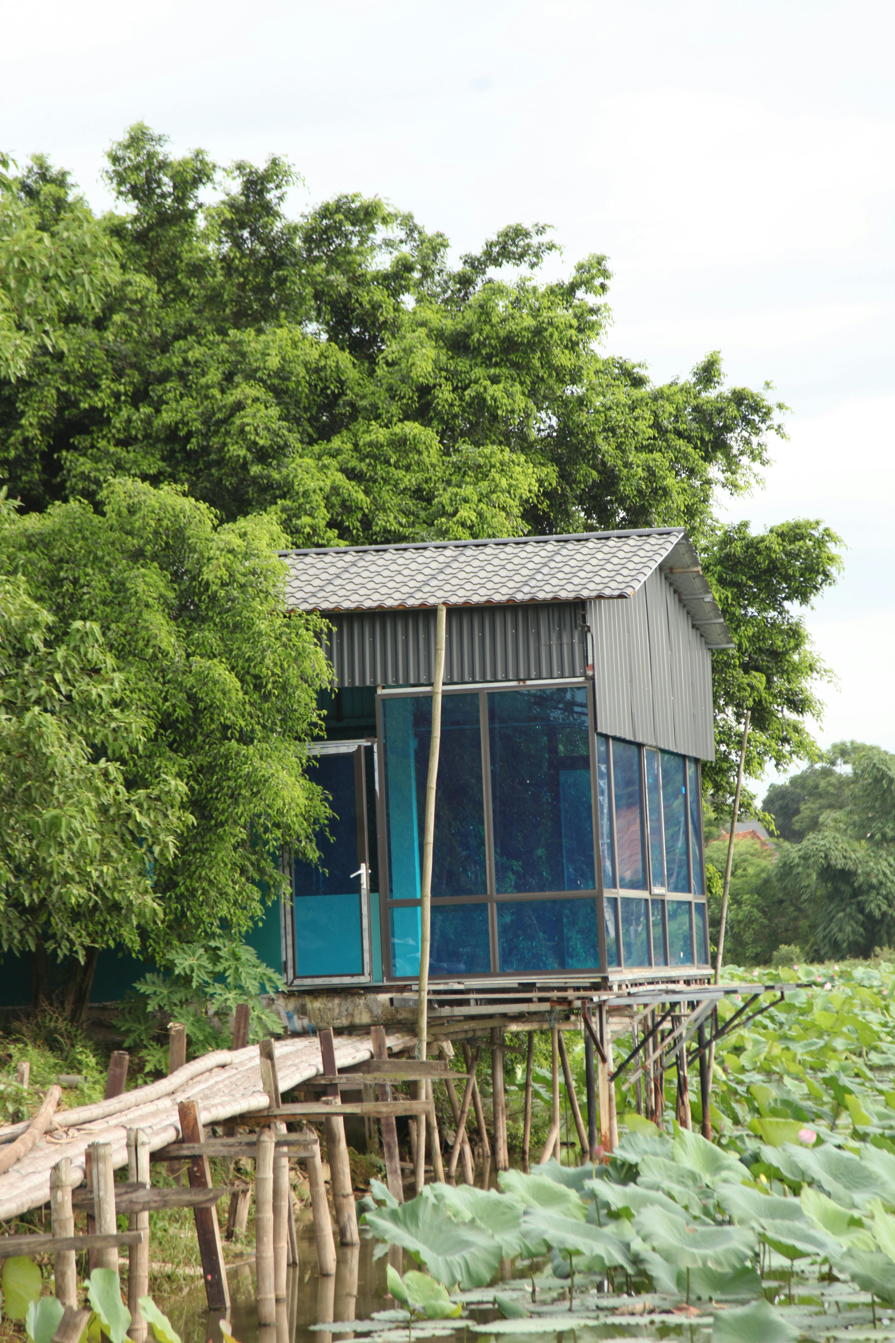 Back+To+Back+Drawing+Images Photos, Download The BEST Free Back+To+Back ...