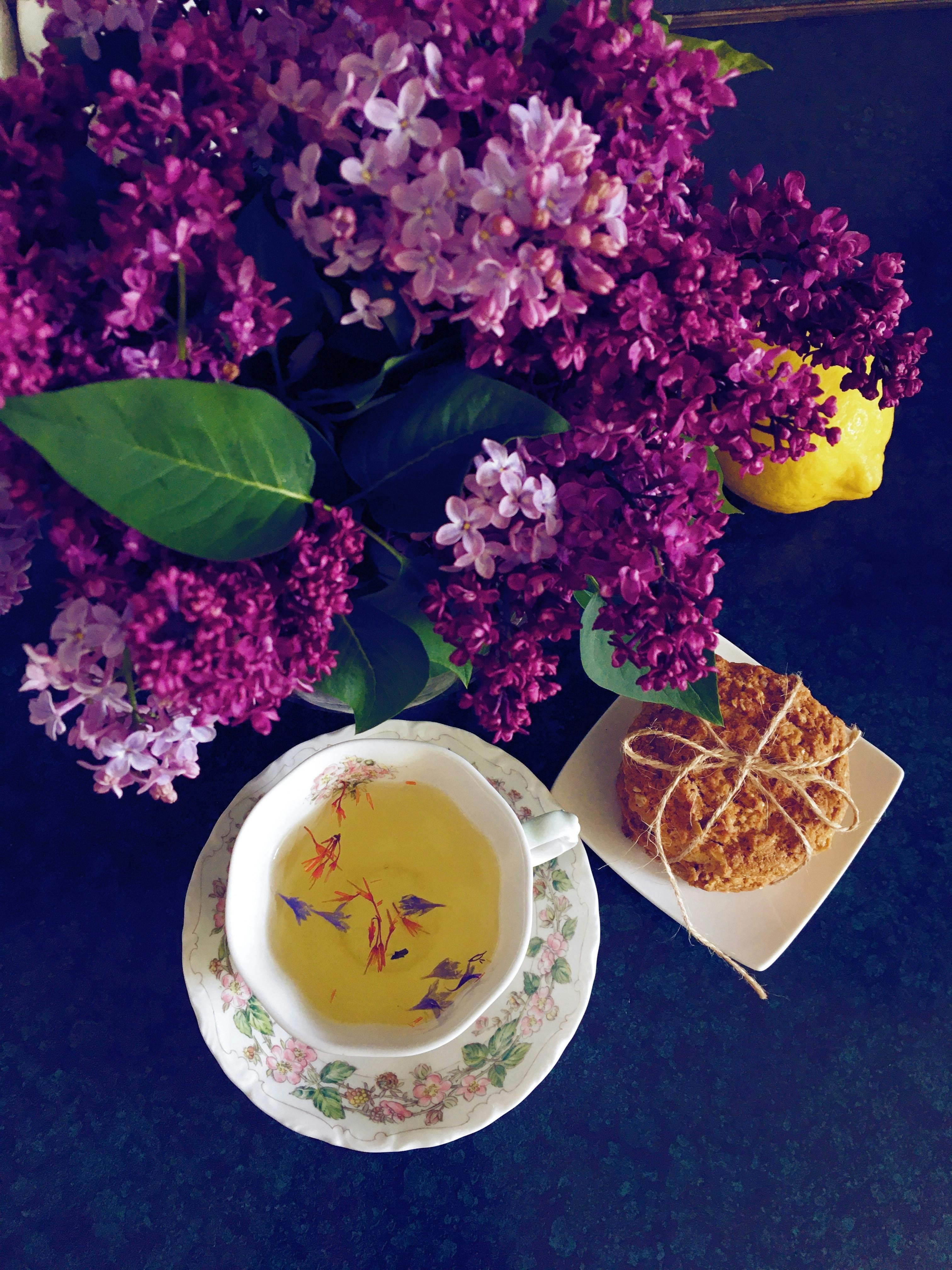 Teacup Photos, Download The BEST Free Teacup Stock Photos & HD Images