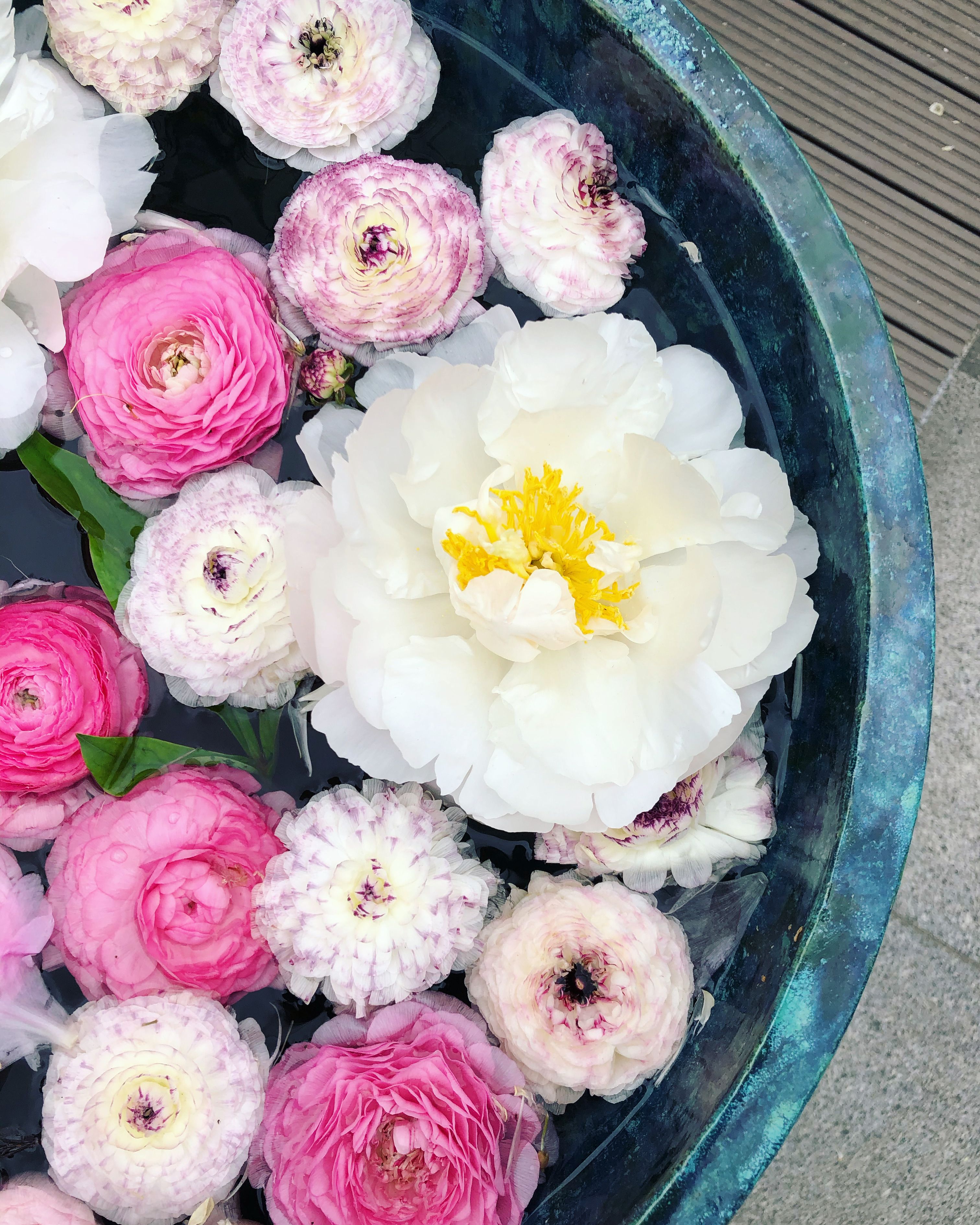 Floating Flowers Photos, Download The BEST Free Floating Flowers Stock ...
