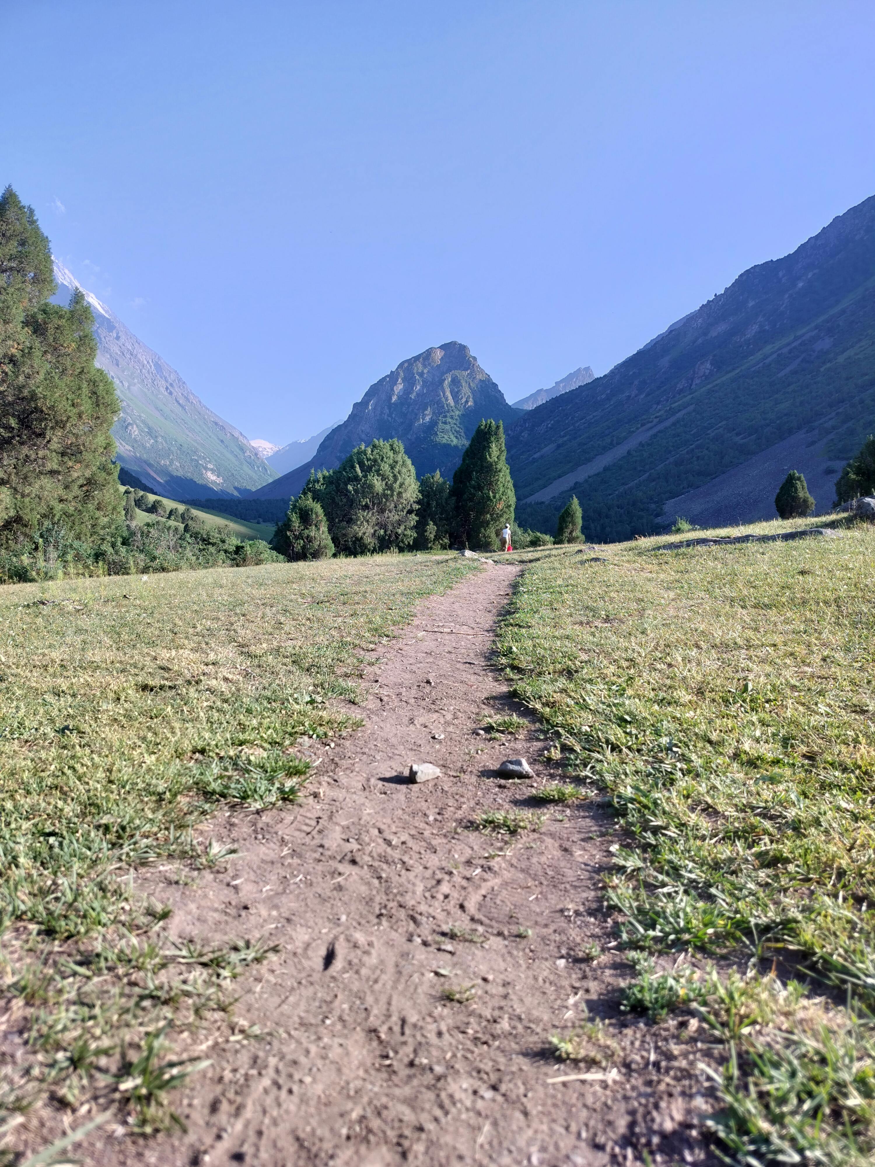 Grass Phone Photos, Download The BEST Free Grass Phone Stock Photos ...