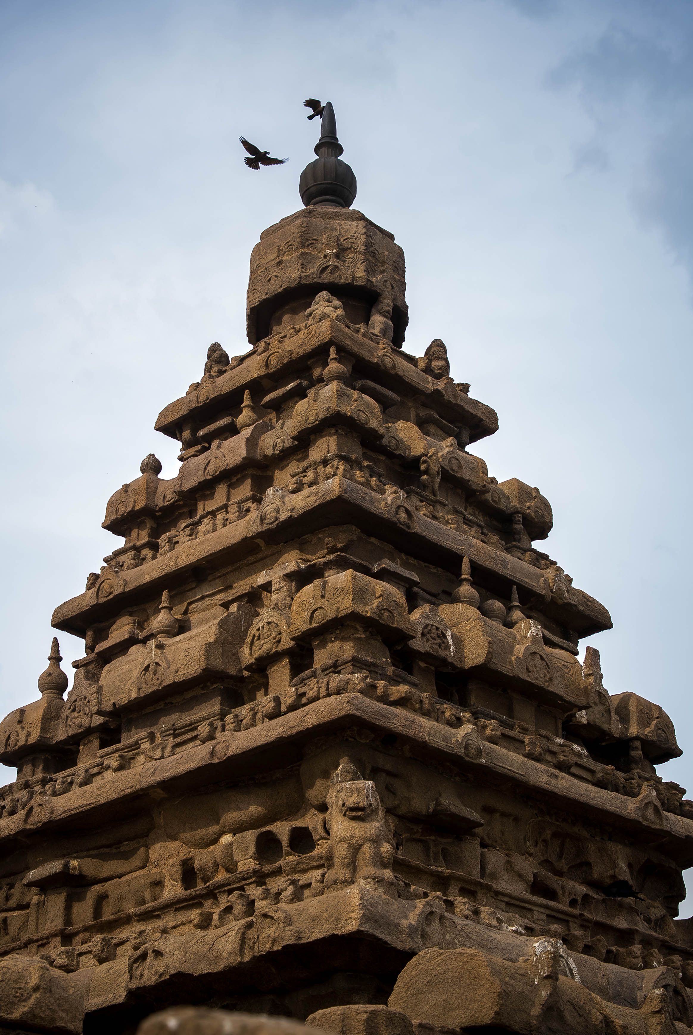 Majestic View of Ancient Temple with Birds · Free Stock Photo