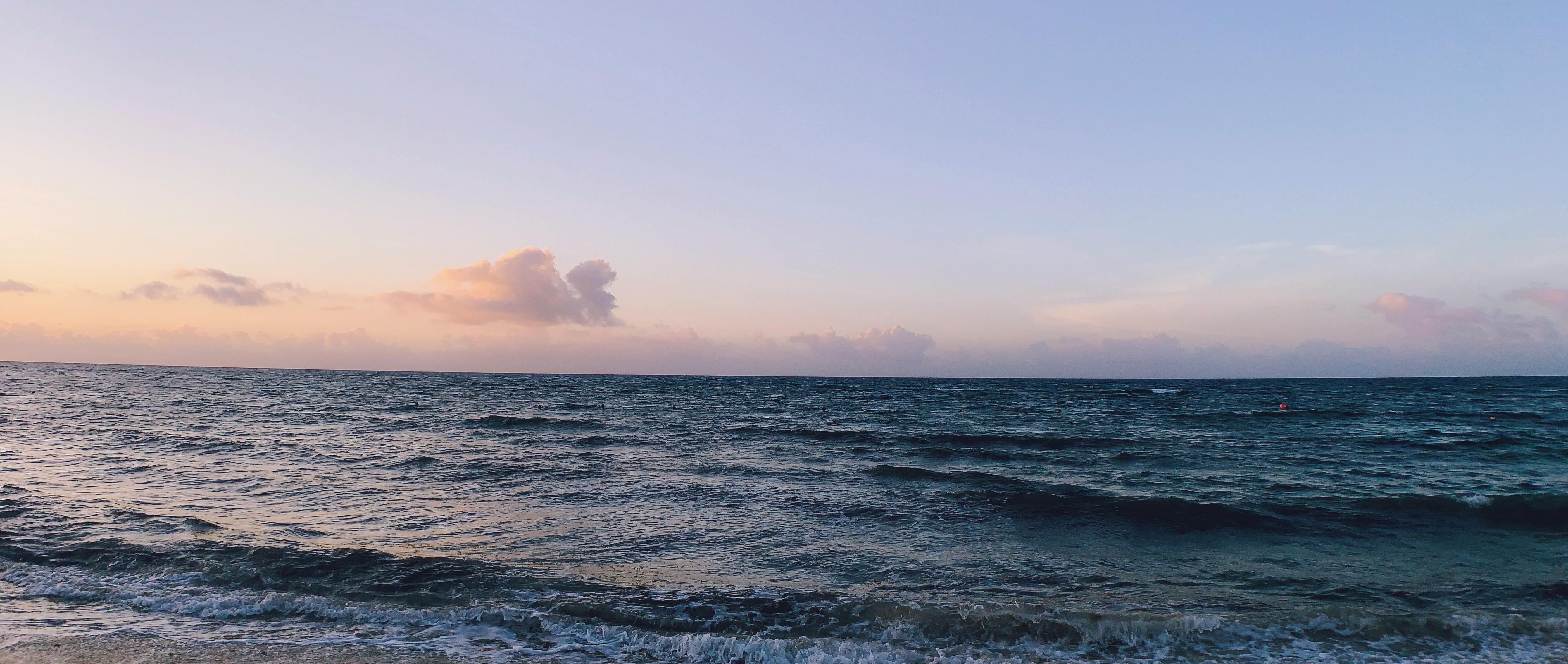 Scott Webb · 摄影