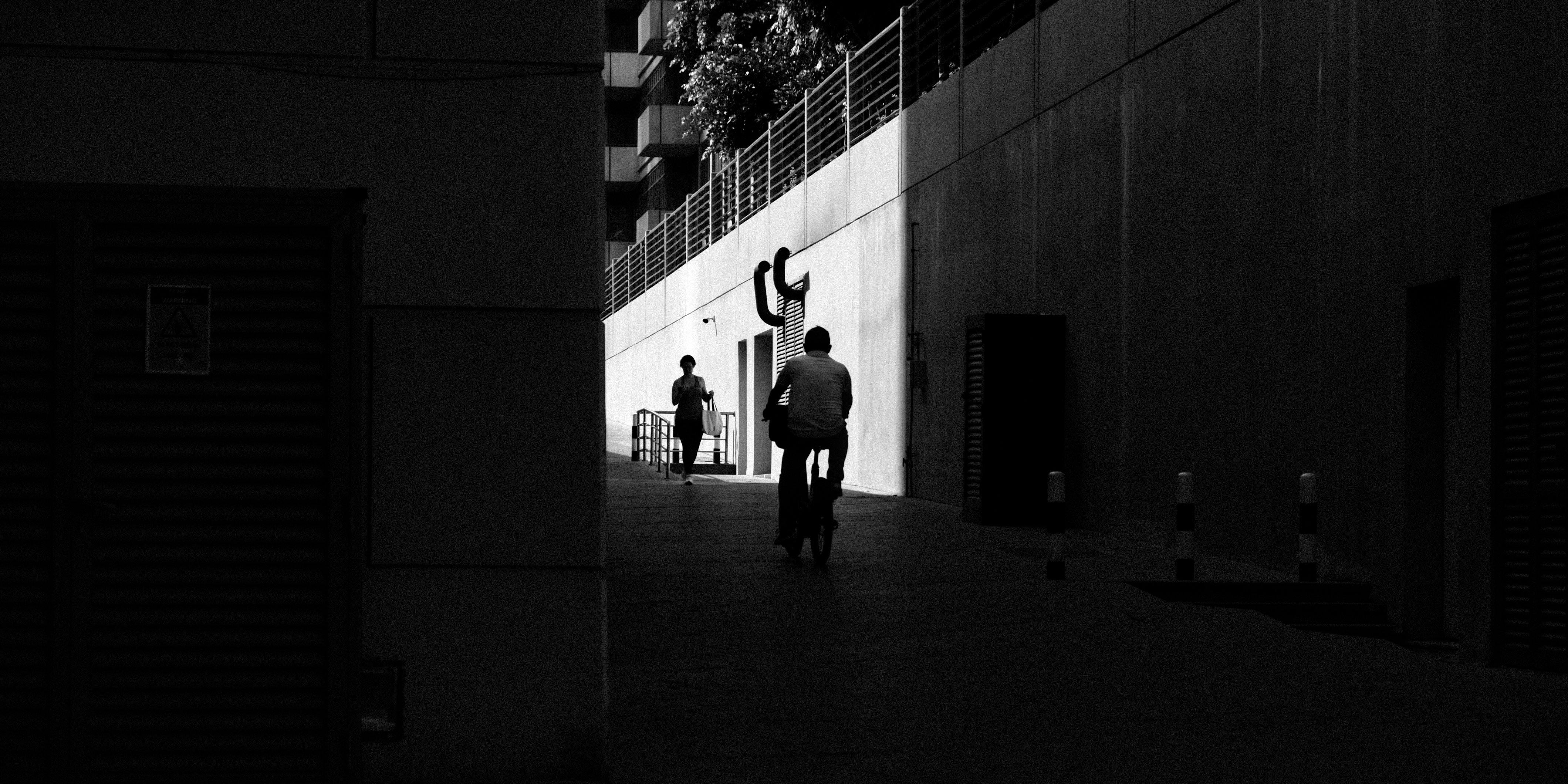 Hidden Passage Photos, Download The BEST Free Hidden Passage Stock ...