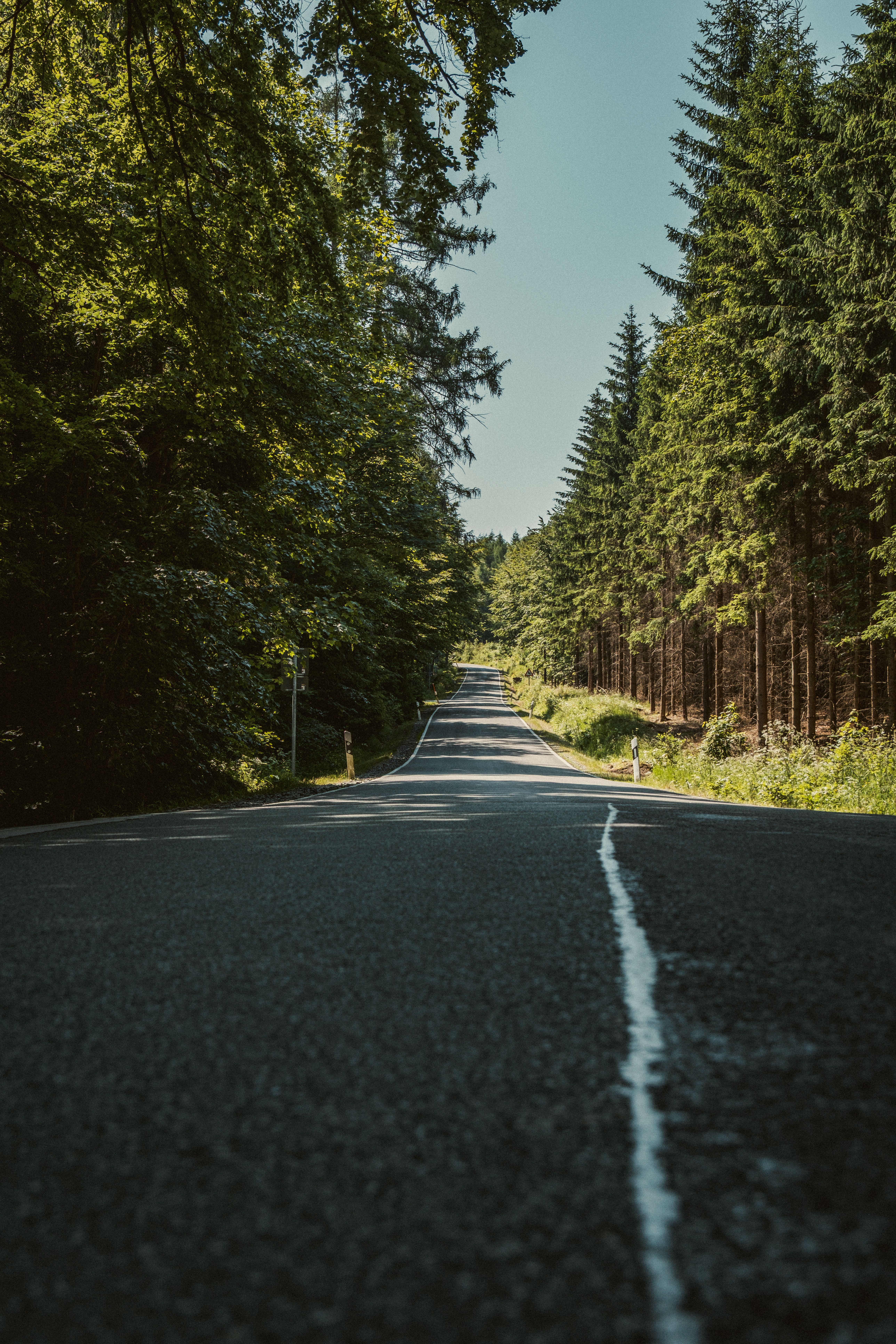 Scenic Forest Road in Jonsdorf, Germany · Free Stock Photo