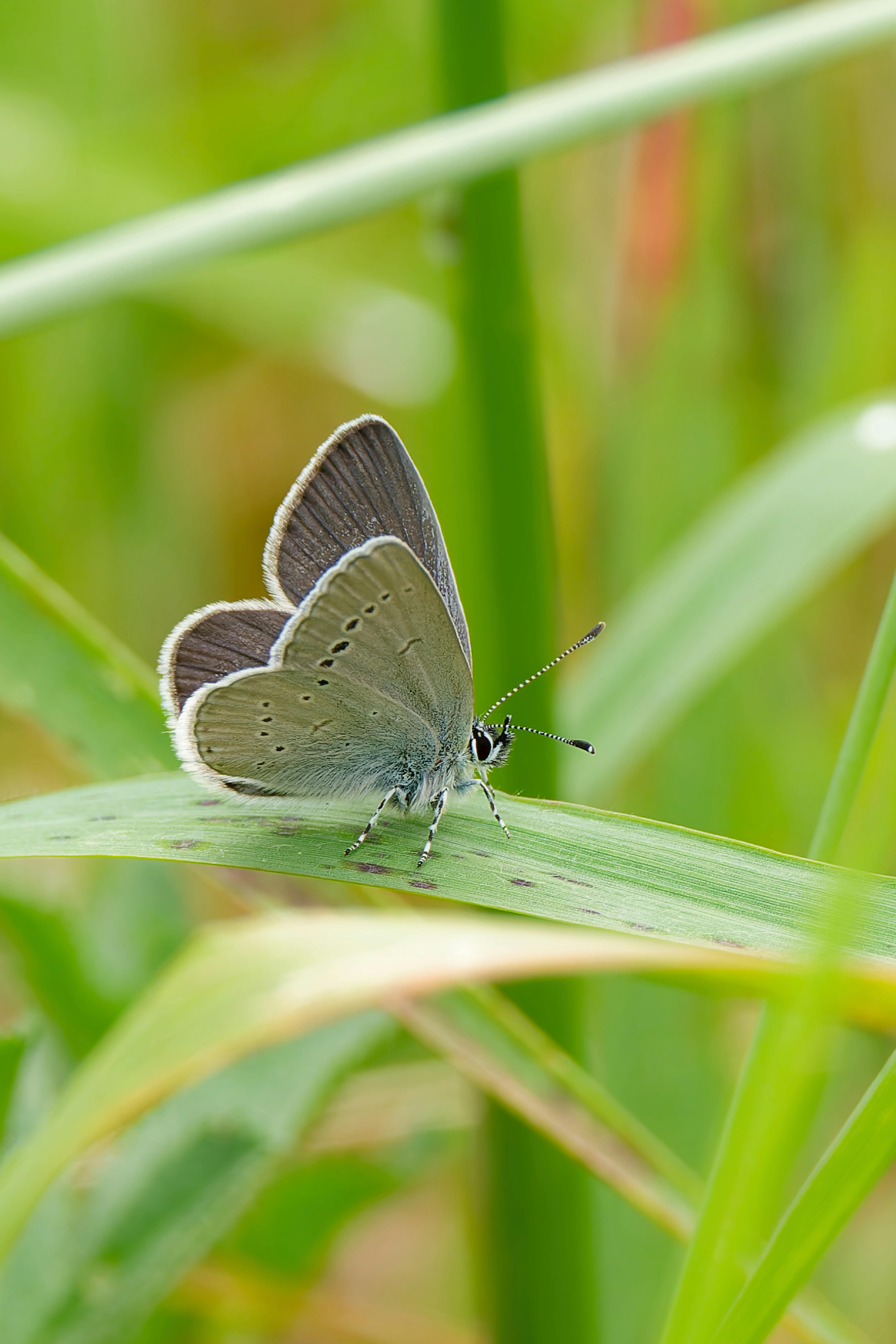 Life Cycle Photos, Download The BEST Free Life Cycle Stock Photos & HD ...