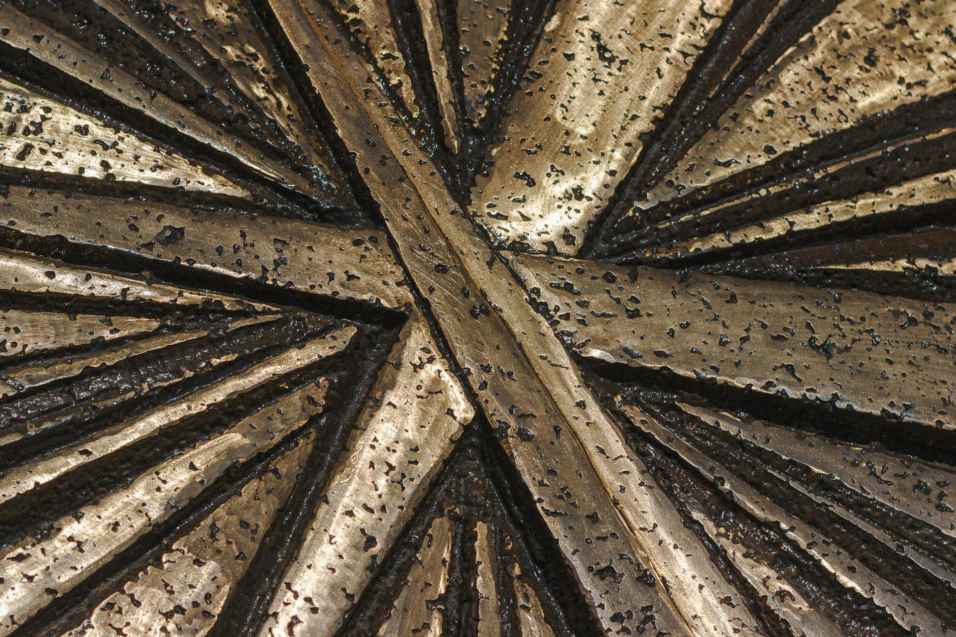 Bronze Whaler Shark Behavior and How to Help Protect Them