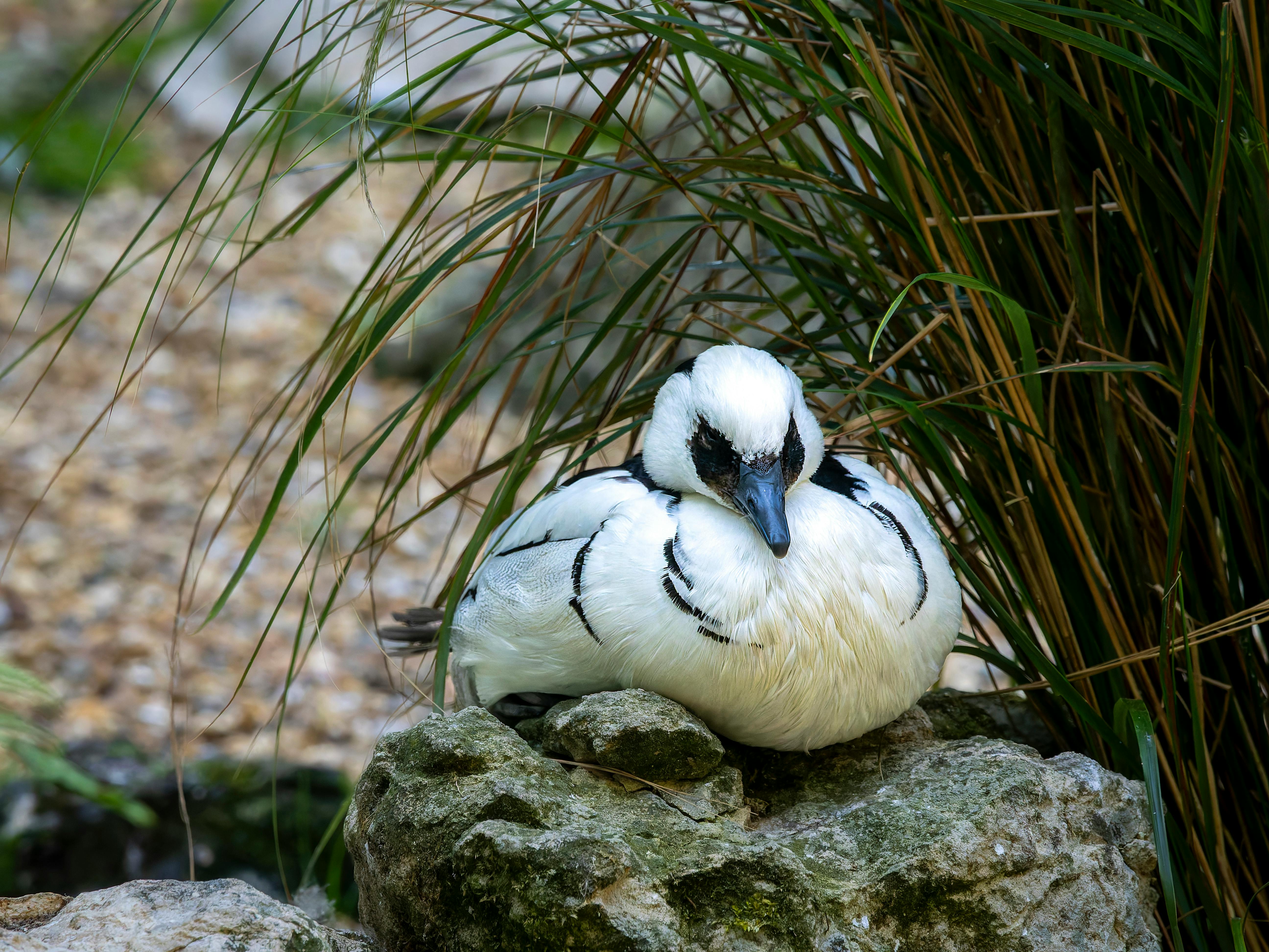 Migrant Photos, Download The BEST Free Migrant Stock Photos & HD Images