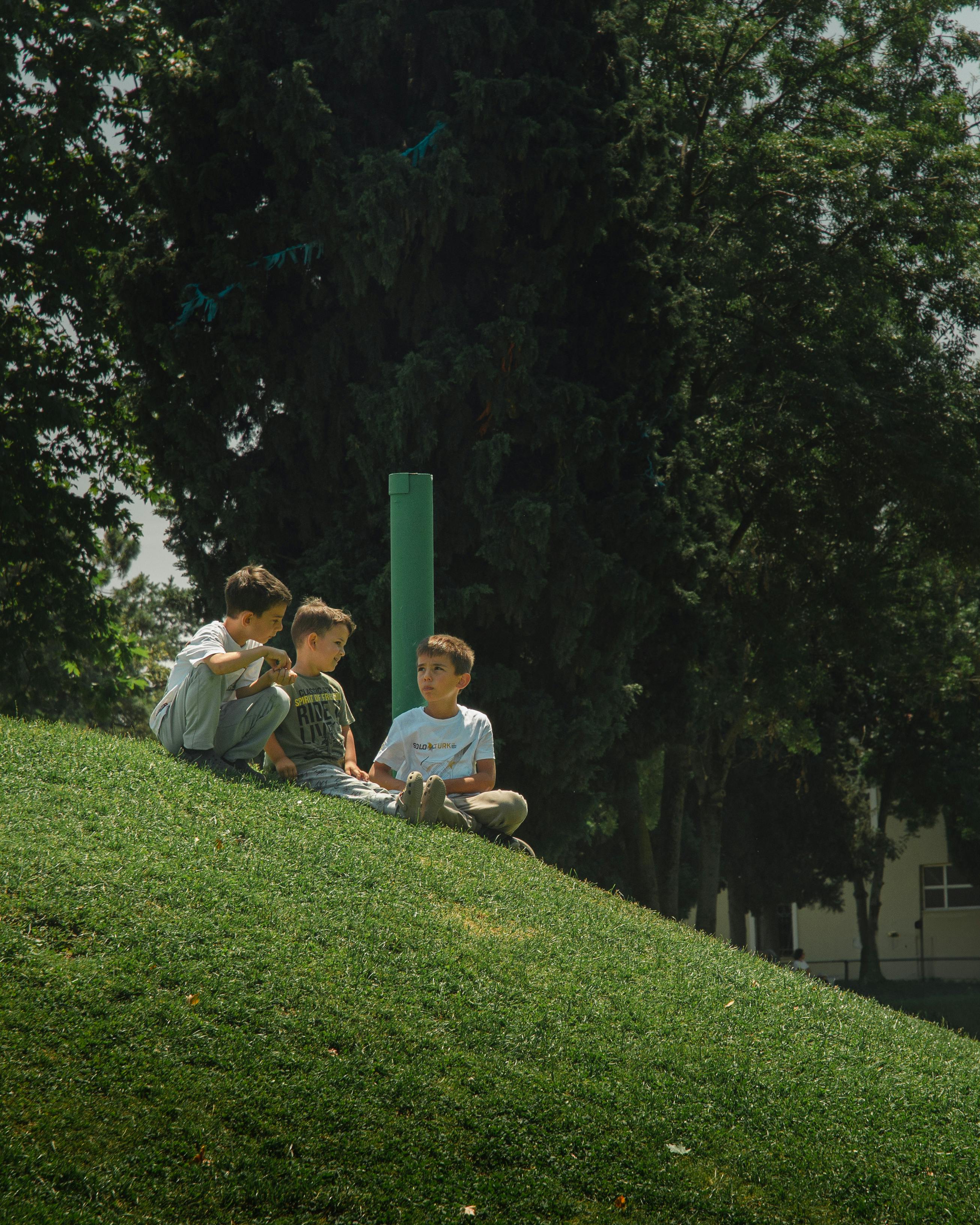 Pfp Boys Photos, Download The BEST Free Pfp Boys Stock Photos & HD Images