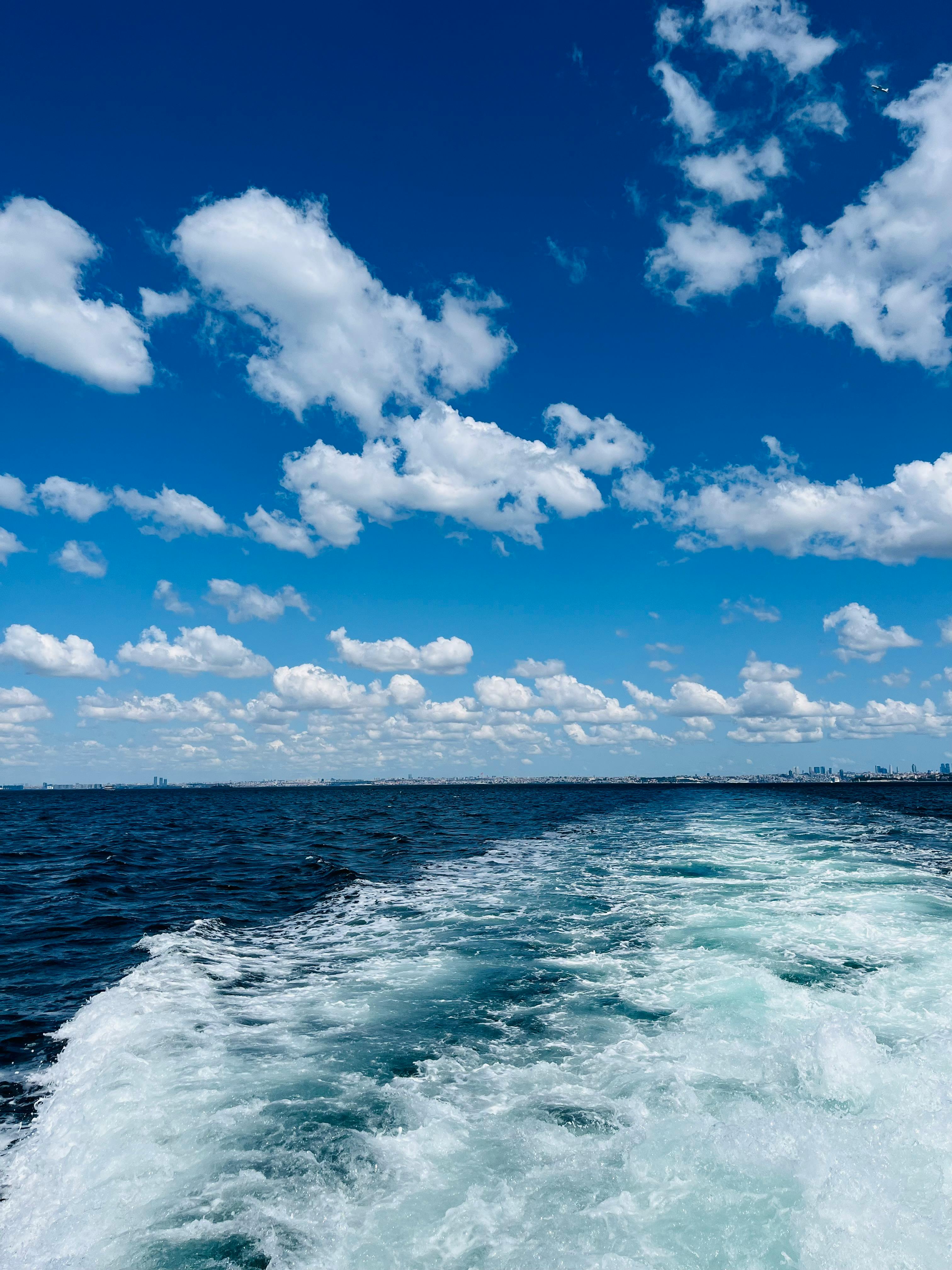 Brainrot Background Photos, Download The BEST Free Brainrot Background ...