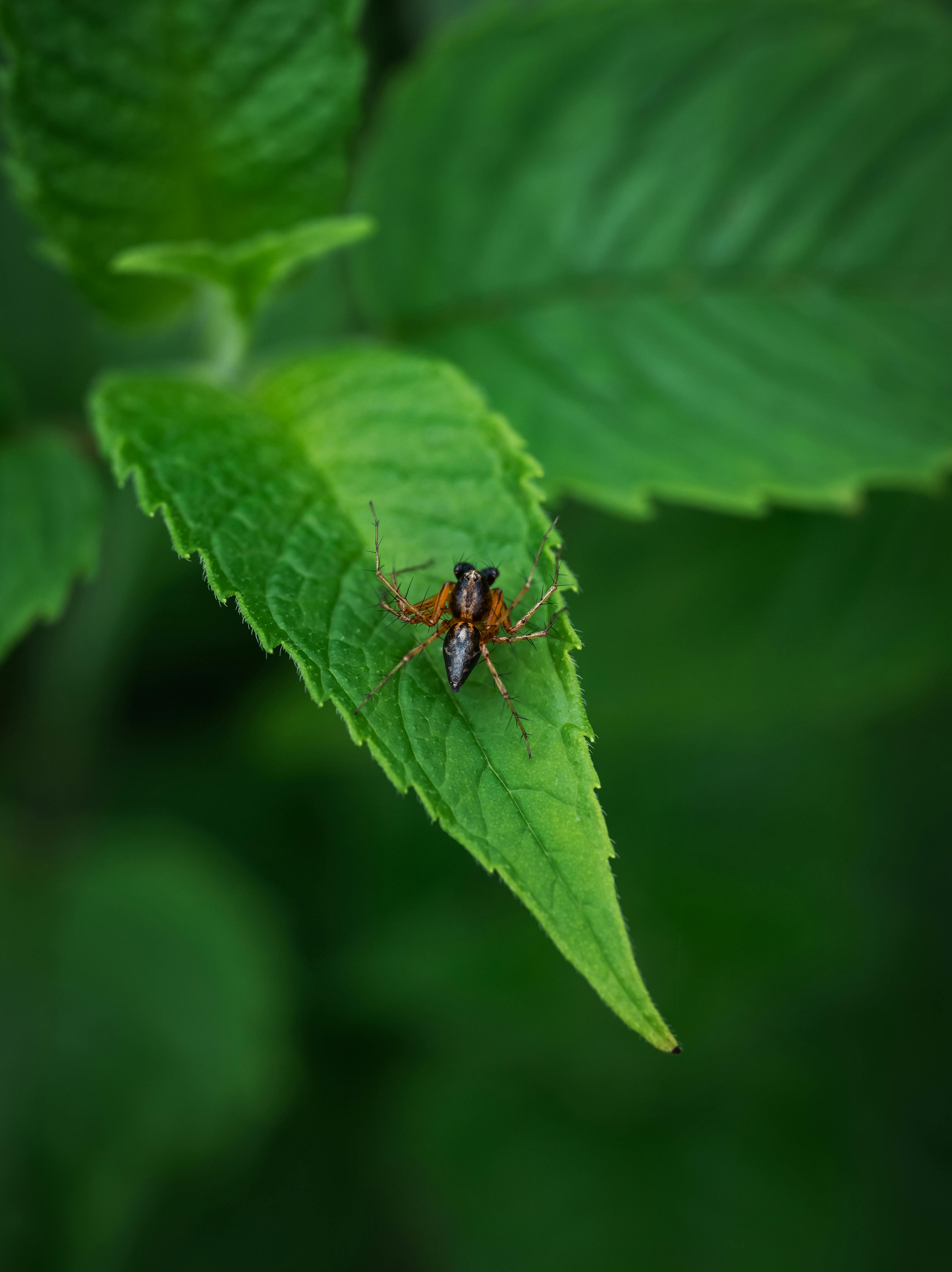 Bus Bug Kisten Photos, Download The BEST Free Bus Bug Kisten Stock ...