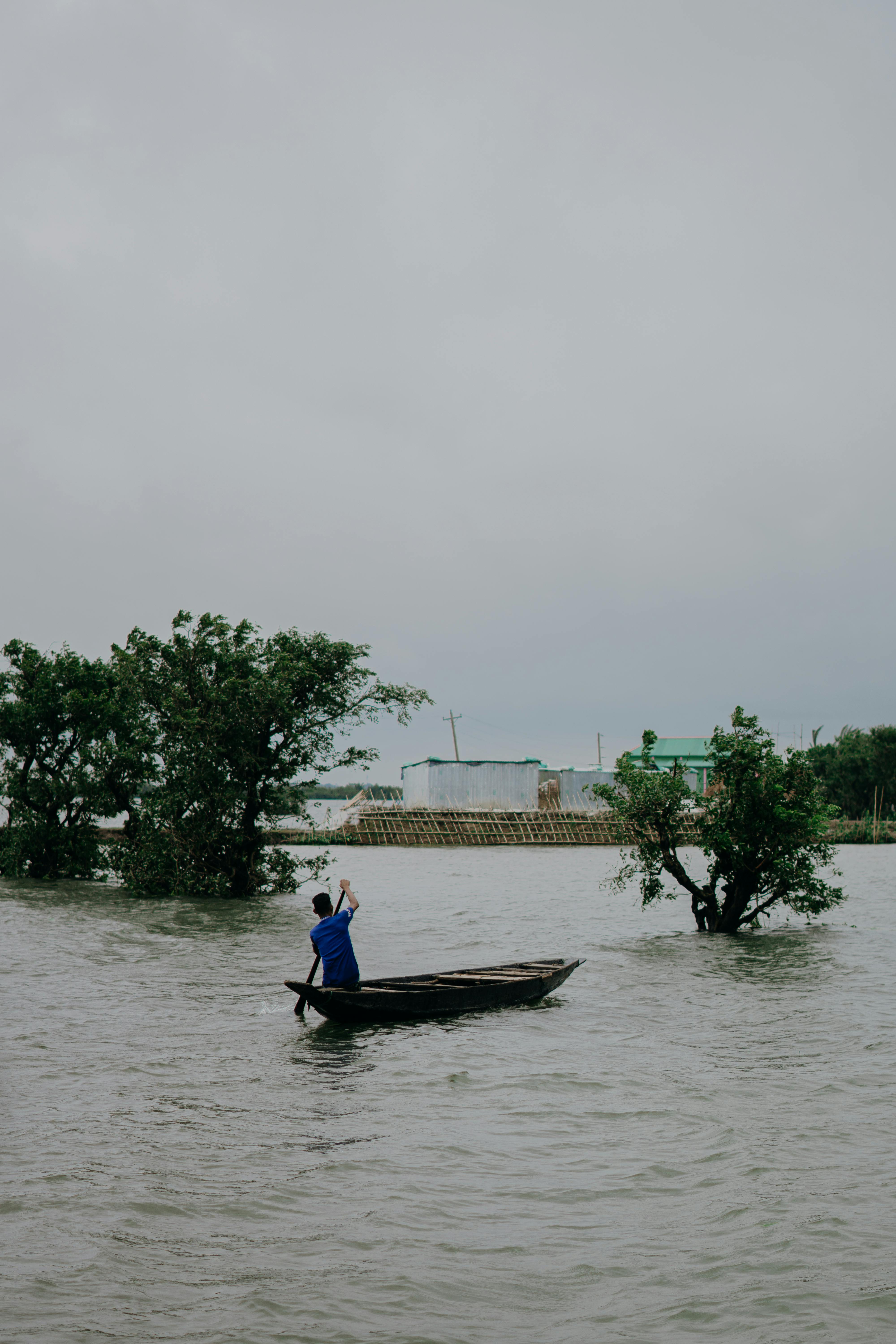 Resilience Photos, Download The BEST Free Resilience Stock Photos & HD ...