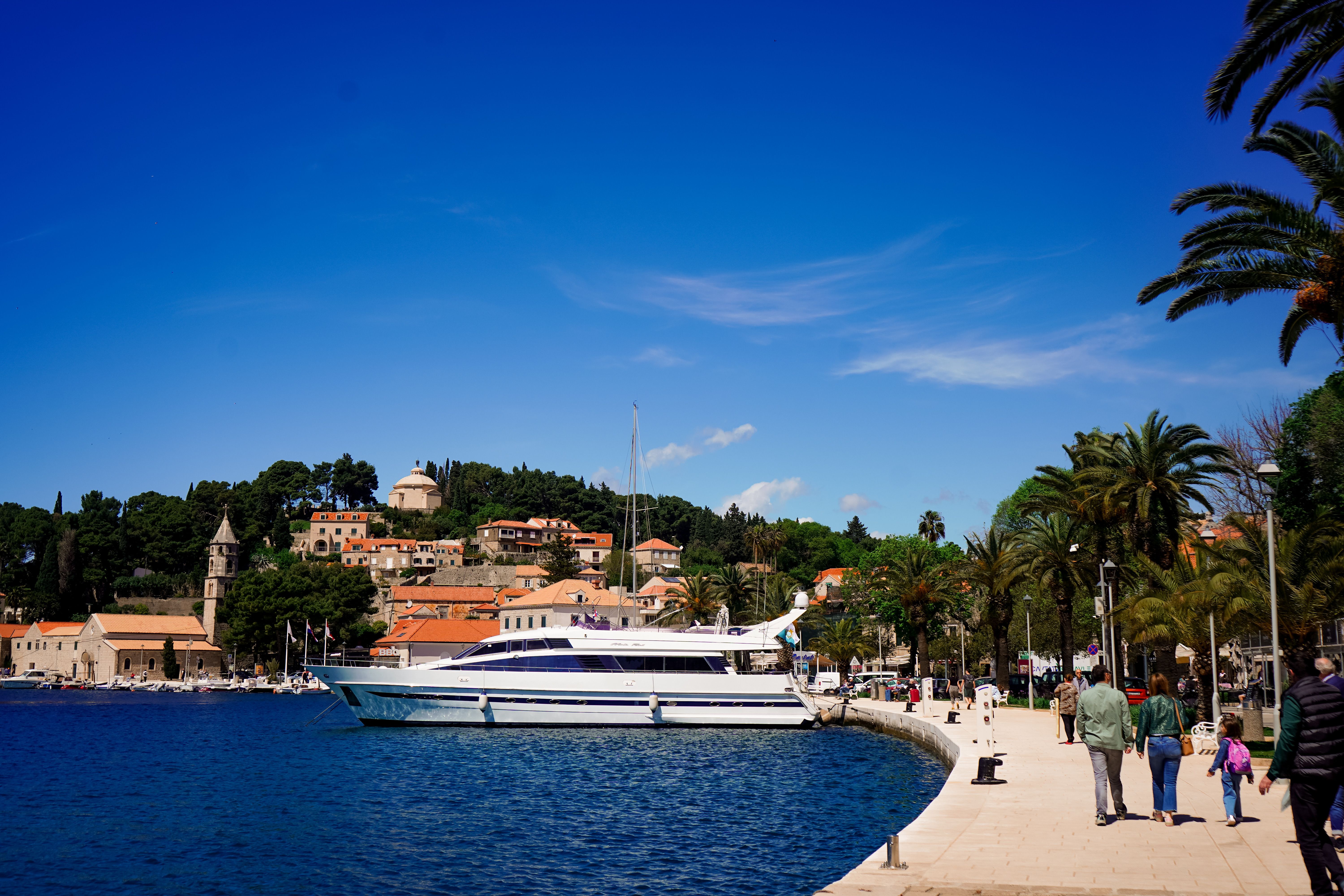 Scenic Seaside Promenade with Yacht and Palm Trees · Free Stock Photo