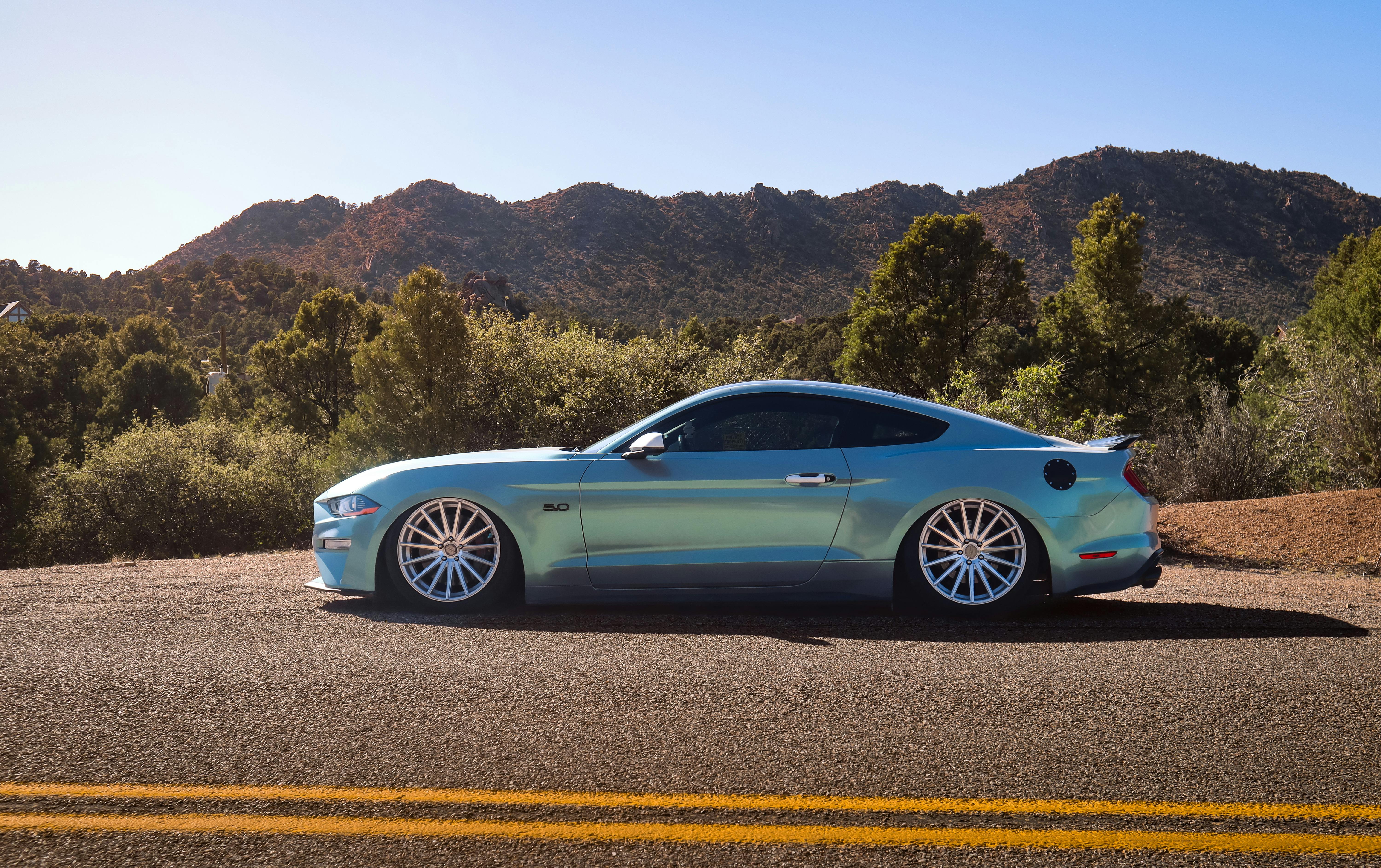 Whist Drive Photos, Download The BEST Free Whist Drive Stock Photos ...