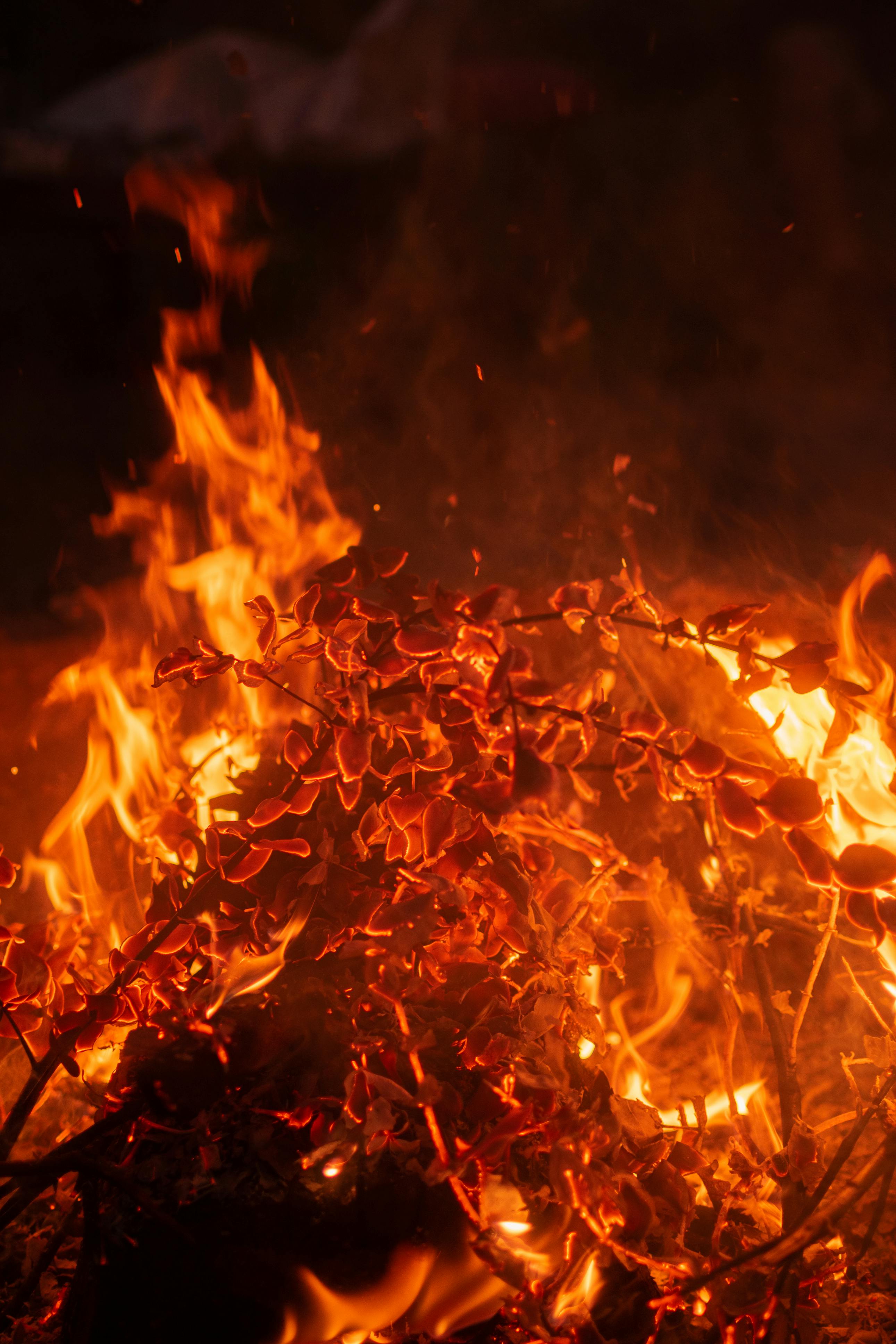 4k Fire Wallpaper Photos, Download The BEST Free 4k Fire Wallpaper ...