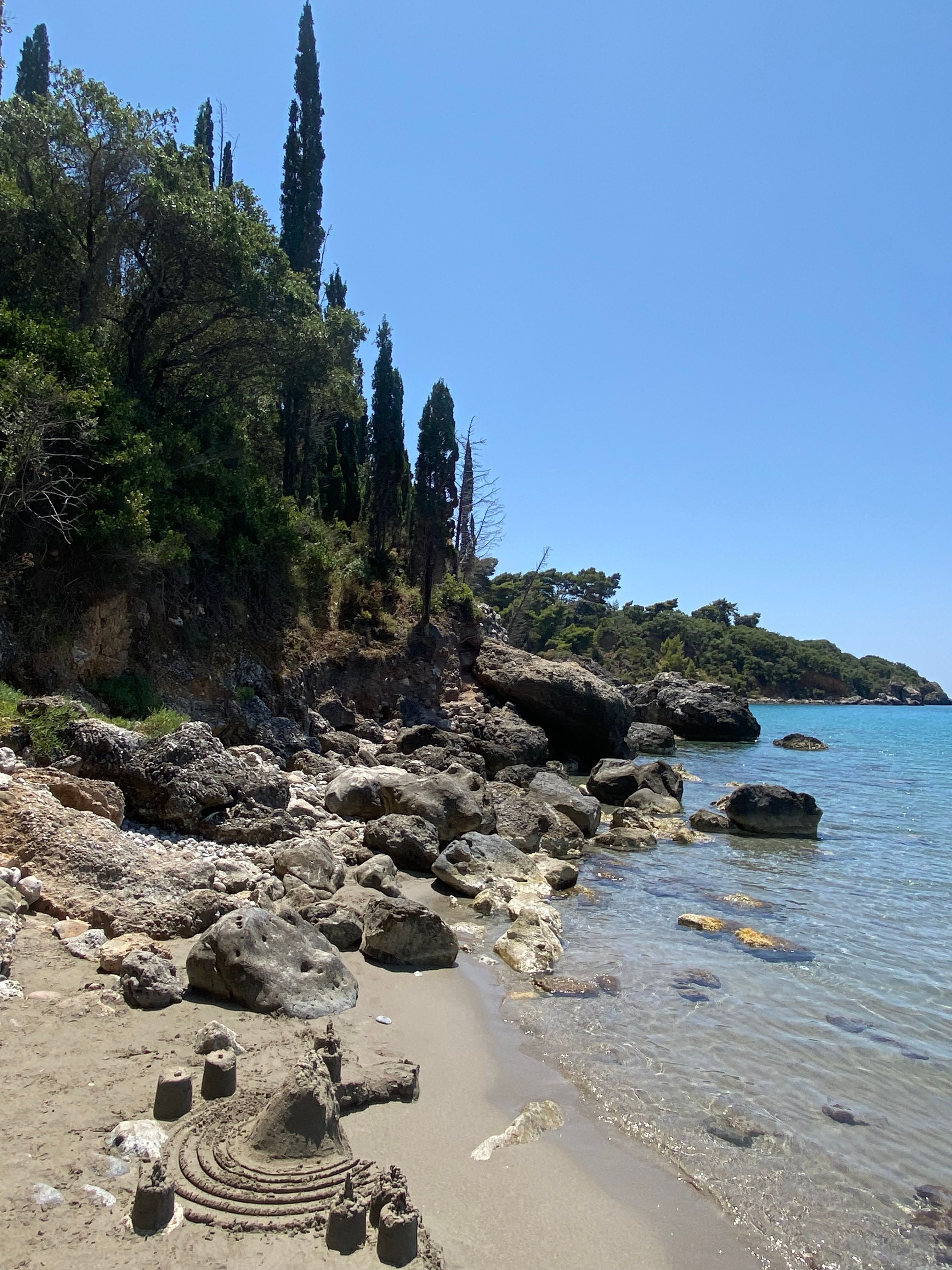 Scenic Beach with Rocky Shoreline and Cypress Trees · Free Stock Photo