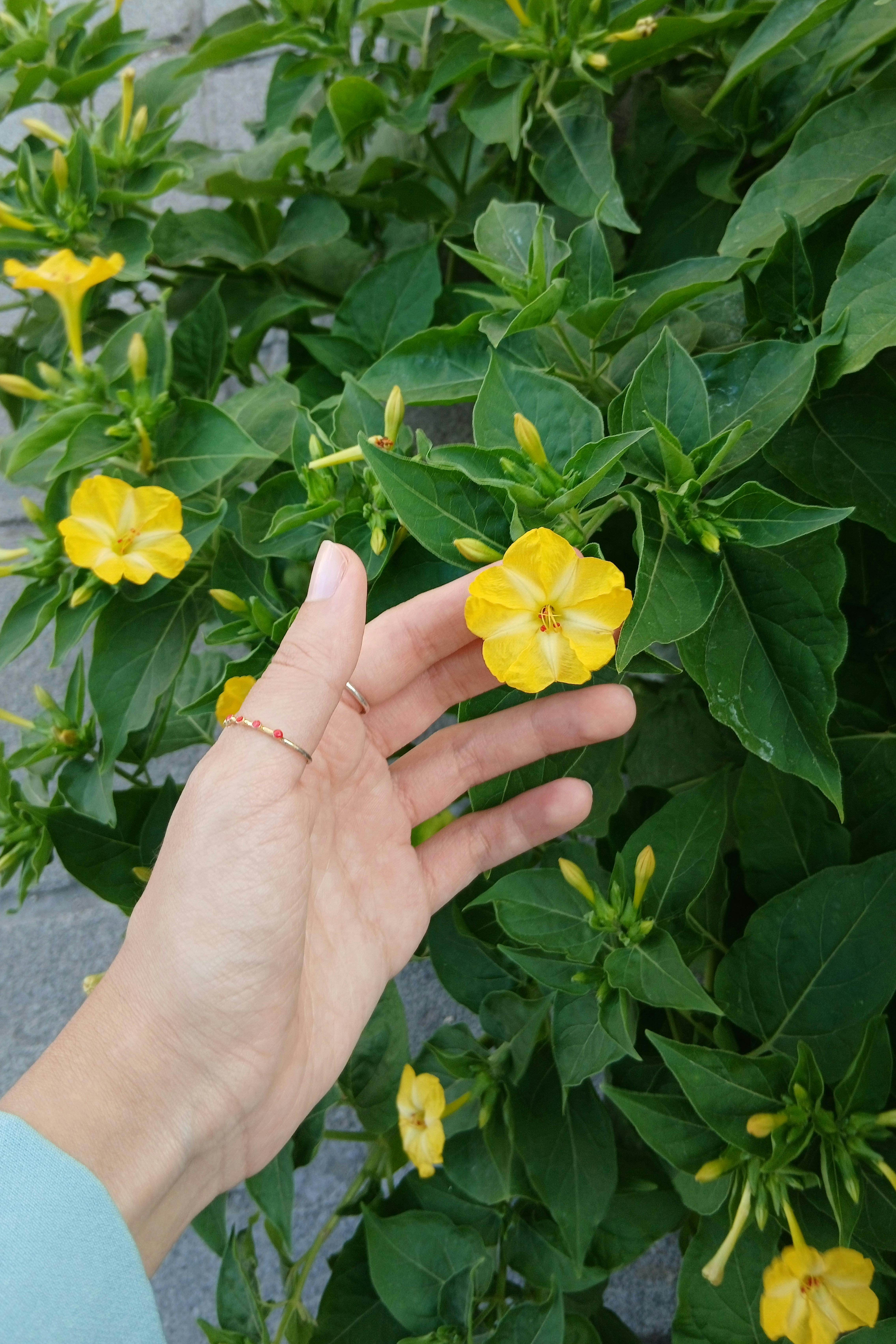 Melike Baran - Fotografía