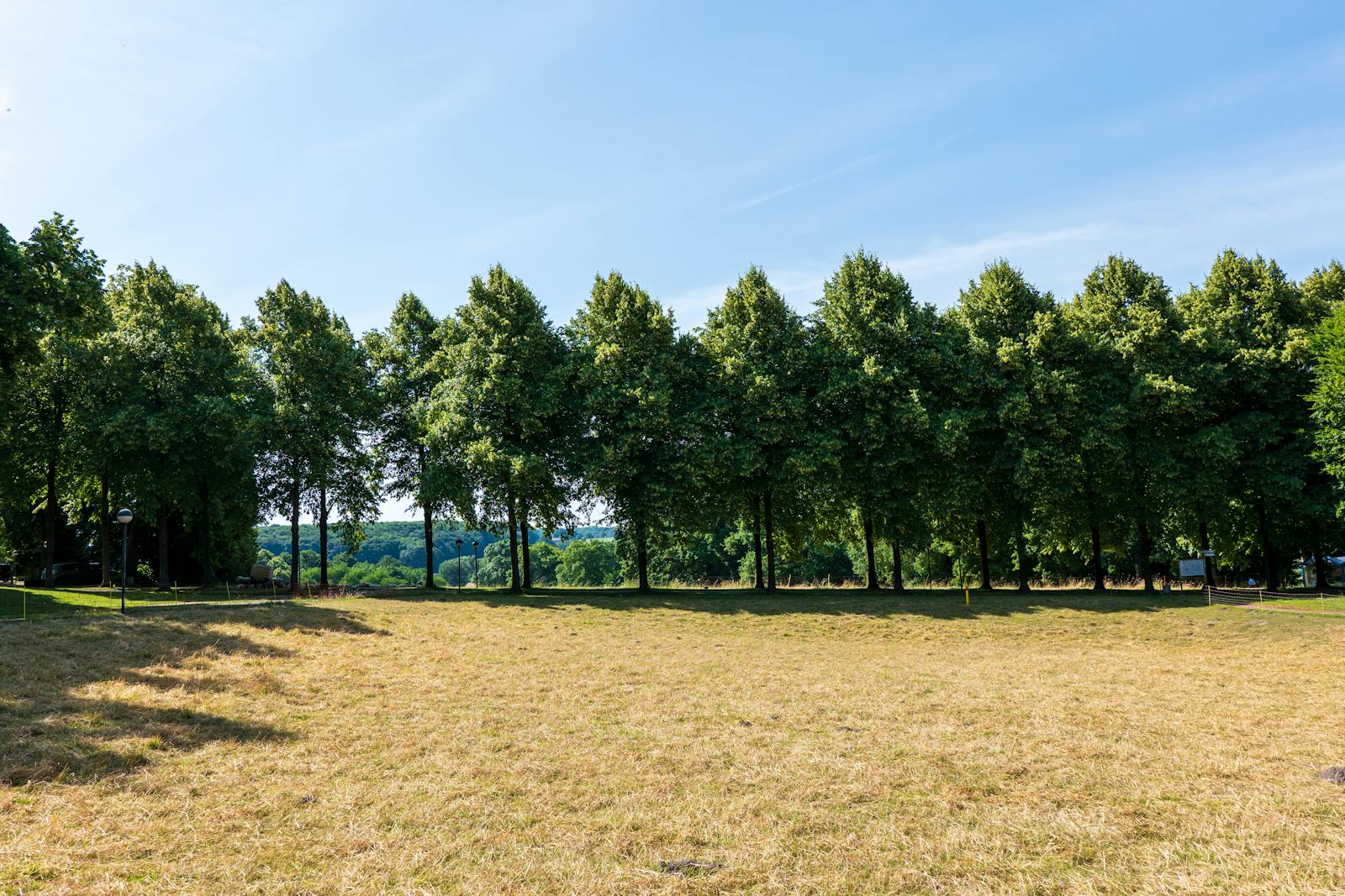 Tree Line Photos, Download The BEST Free Tree Line Stock Photos & HD Images