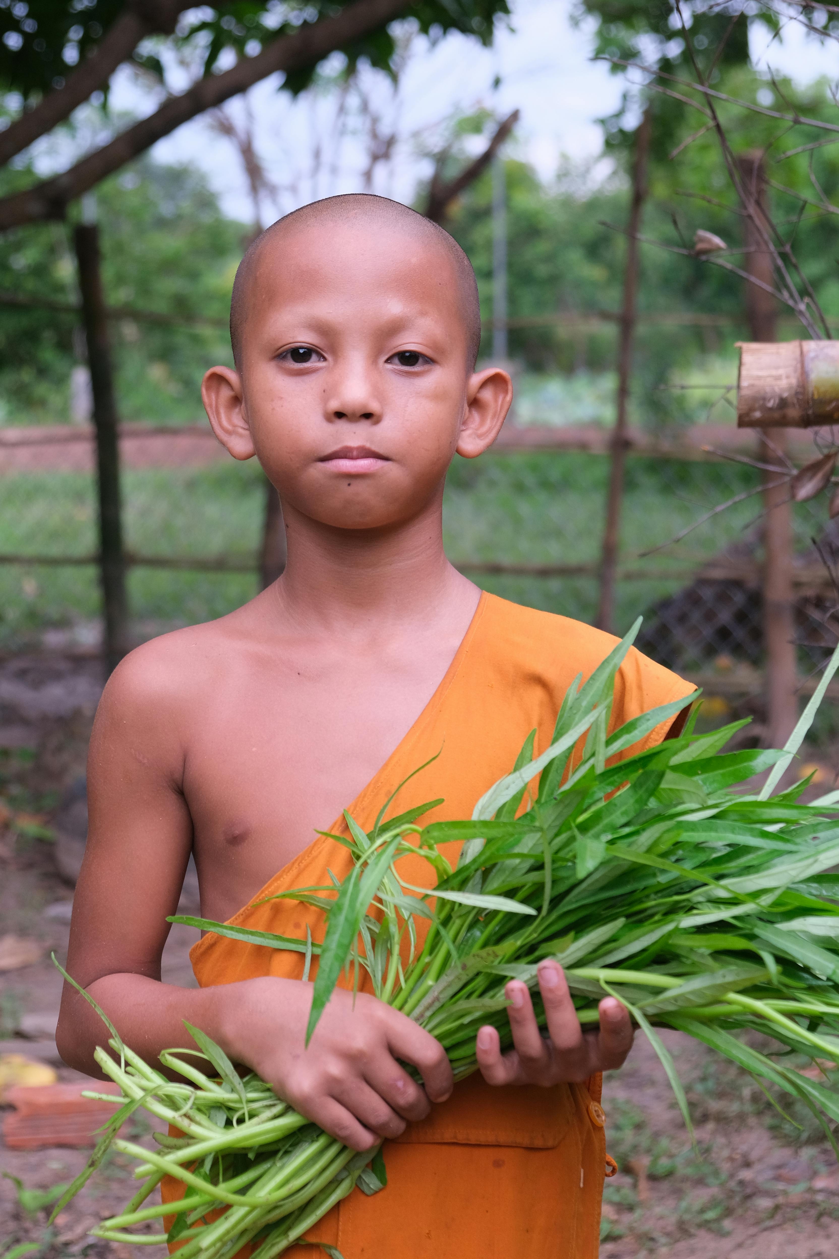 Young Cambodian Monk Holding Fresh Vegetables · Free Stock Photo