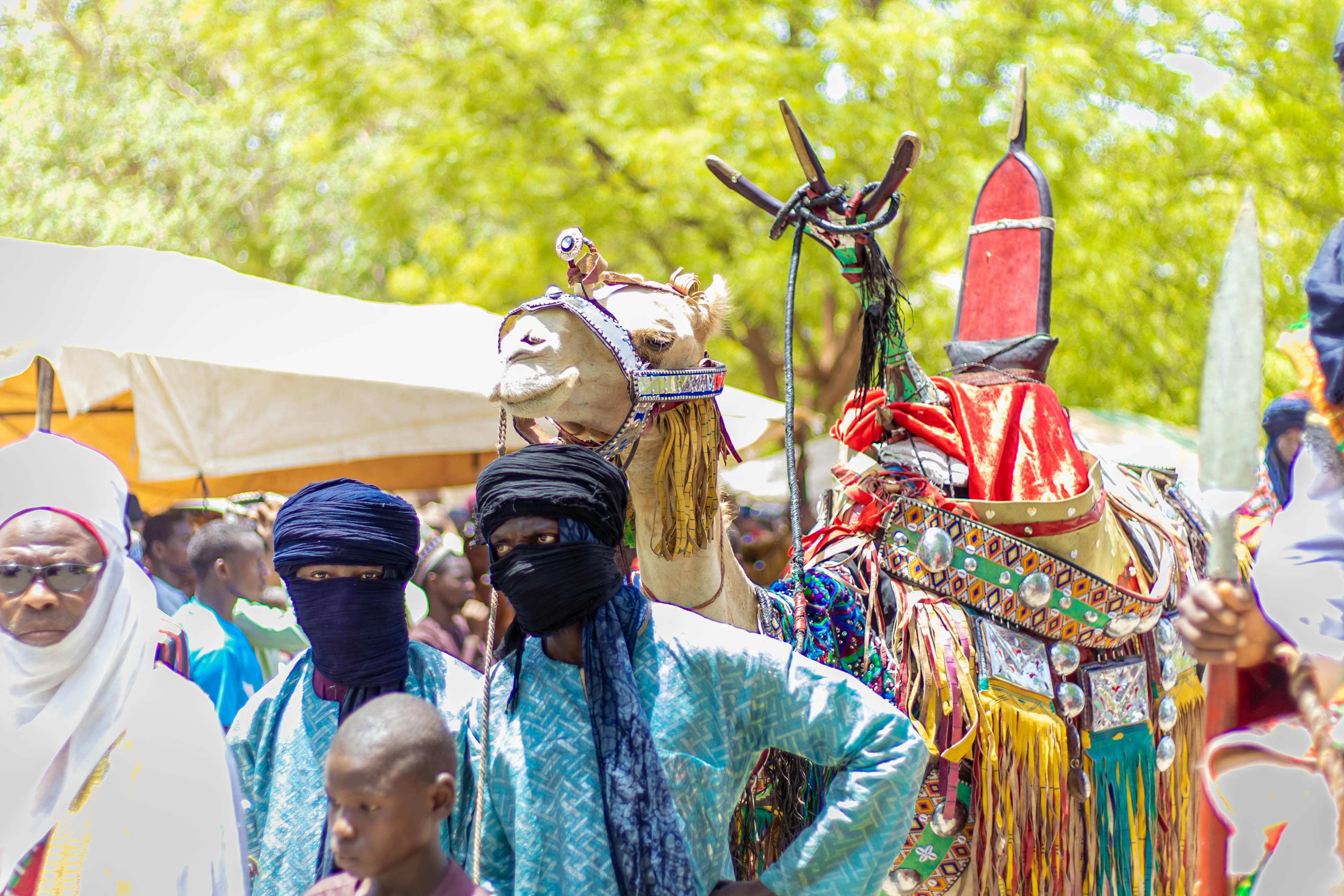 Camel Regalia Photos, Download The BEST Free Camel Regalia Stock Photos ...