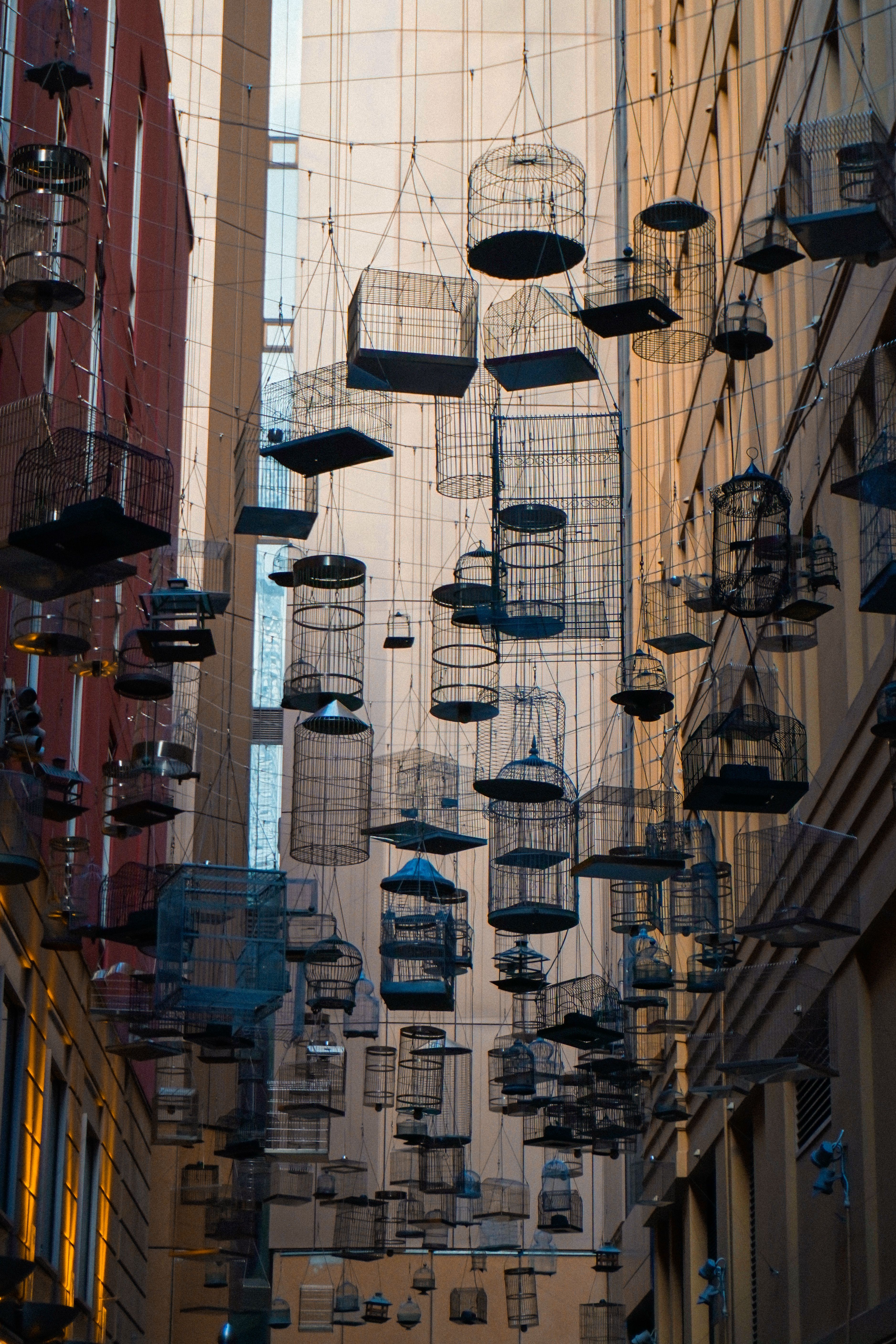 Prism Installation Photos, Download The BEST Free Prism Installation ...