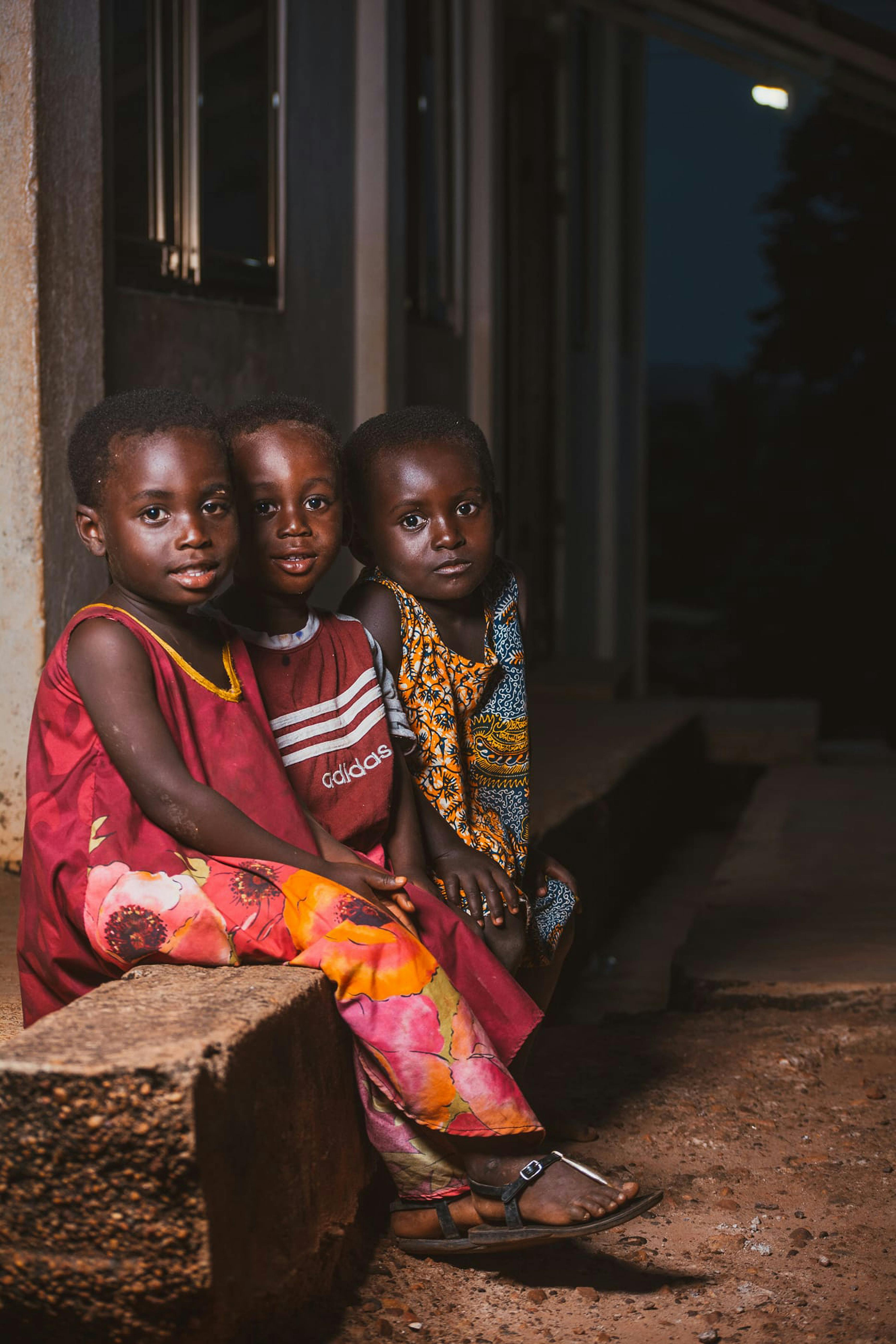 Genome Editing Photos, Download The BEST Free Genome Editing Stock ...