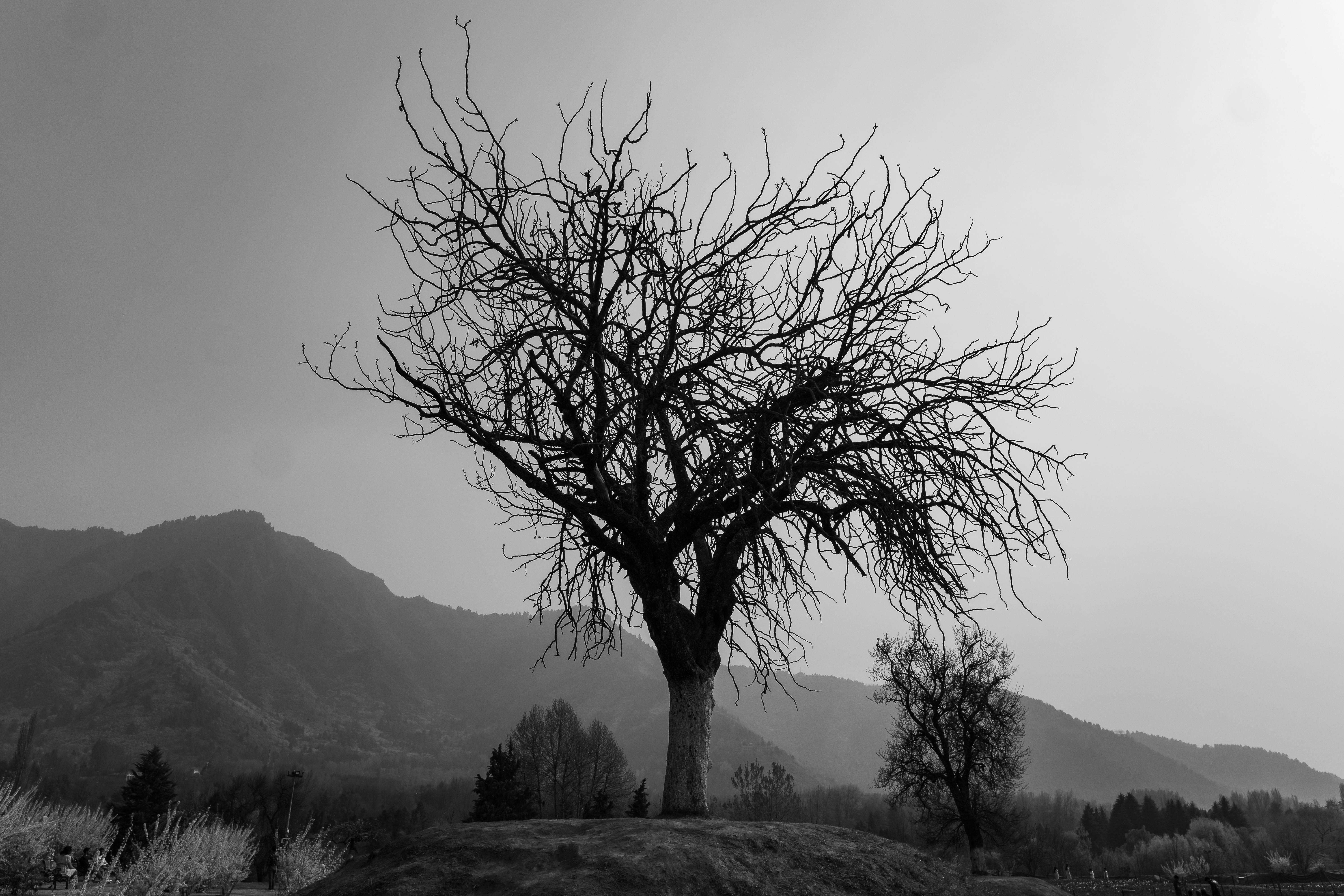 Eerie Sky Photos, Download The BEST Free Eerie Sky Stock Photos & HD Images